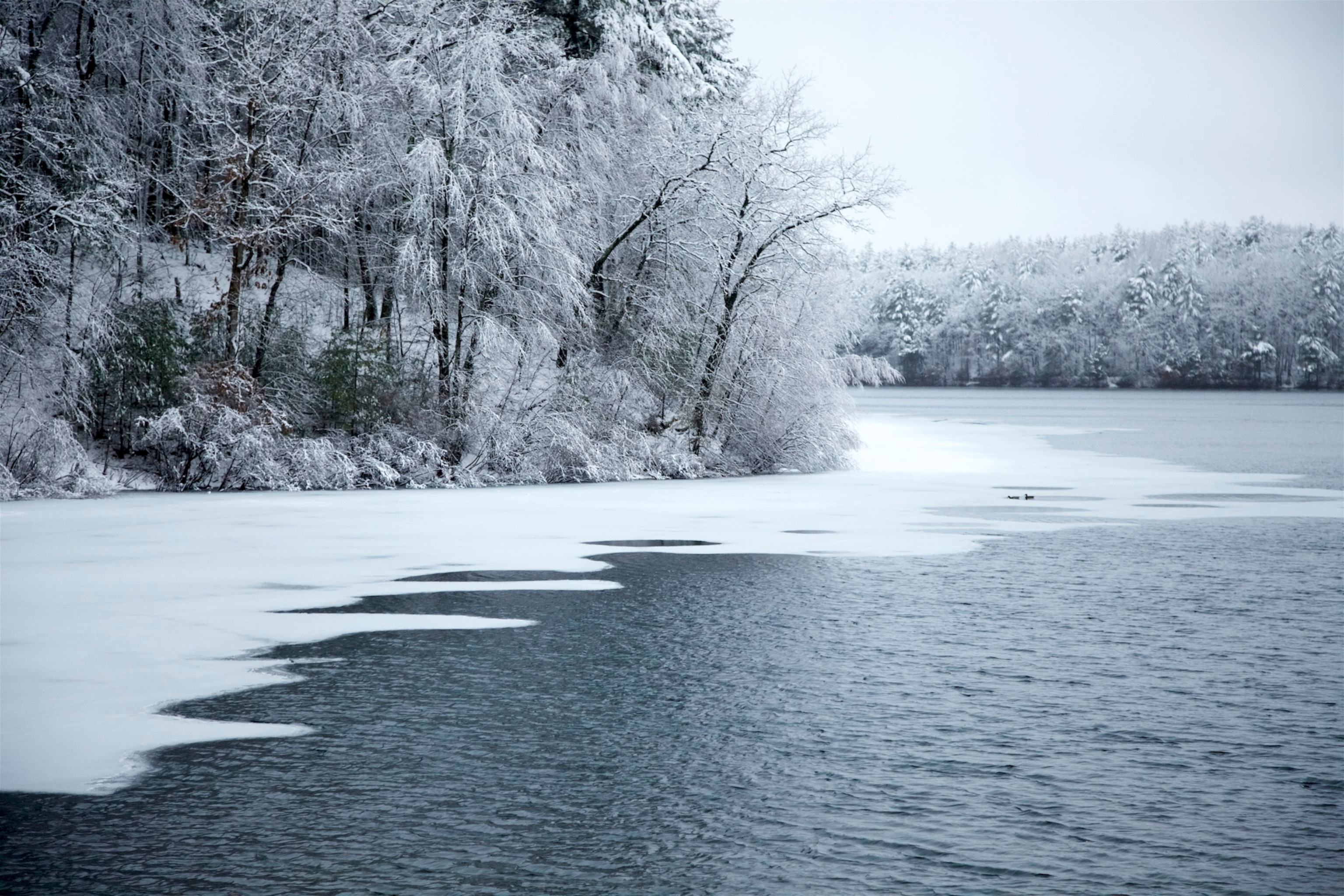 See Why Thoreau's Walden Still Inspires