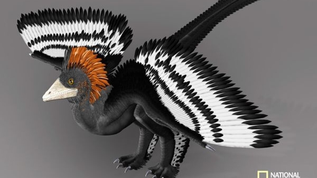 True-Color Dinosaur Pictures: First Full-Body Rendering | National ...