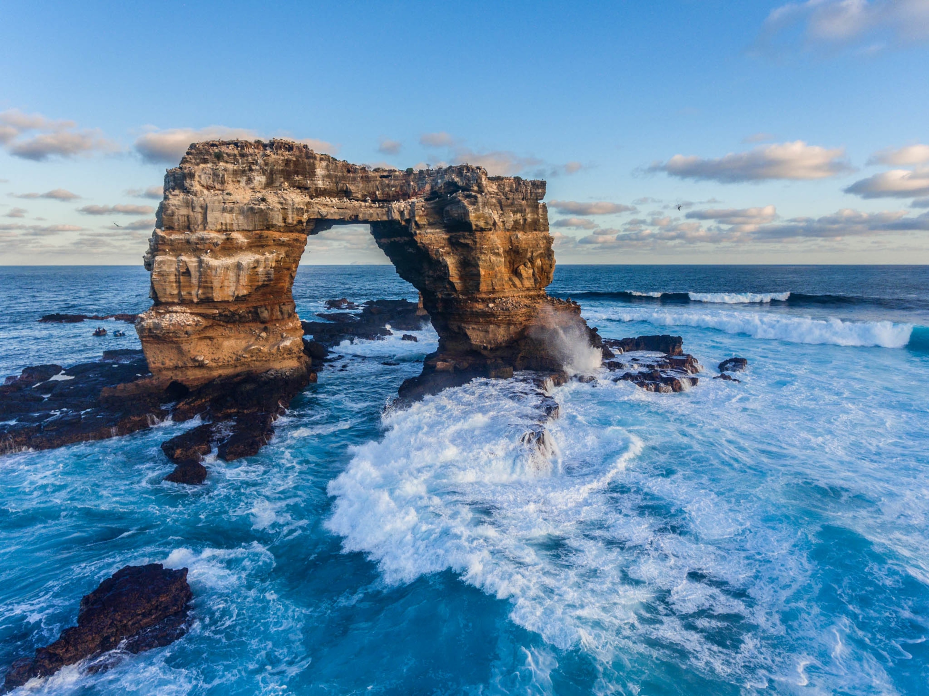 53 National Geographic Nature Photos to Inspire Happiness