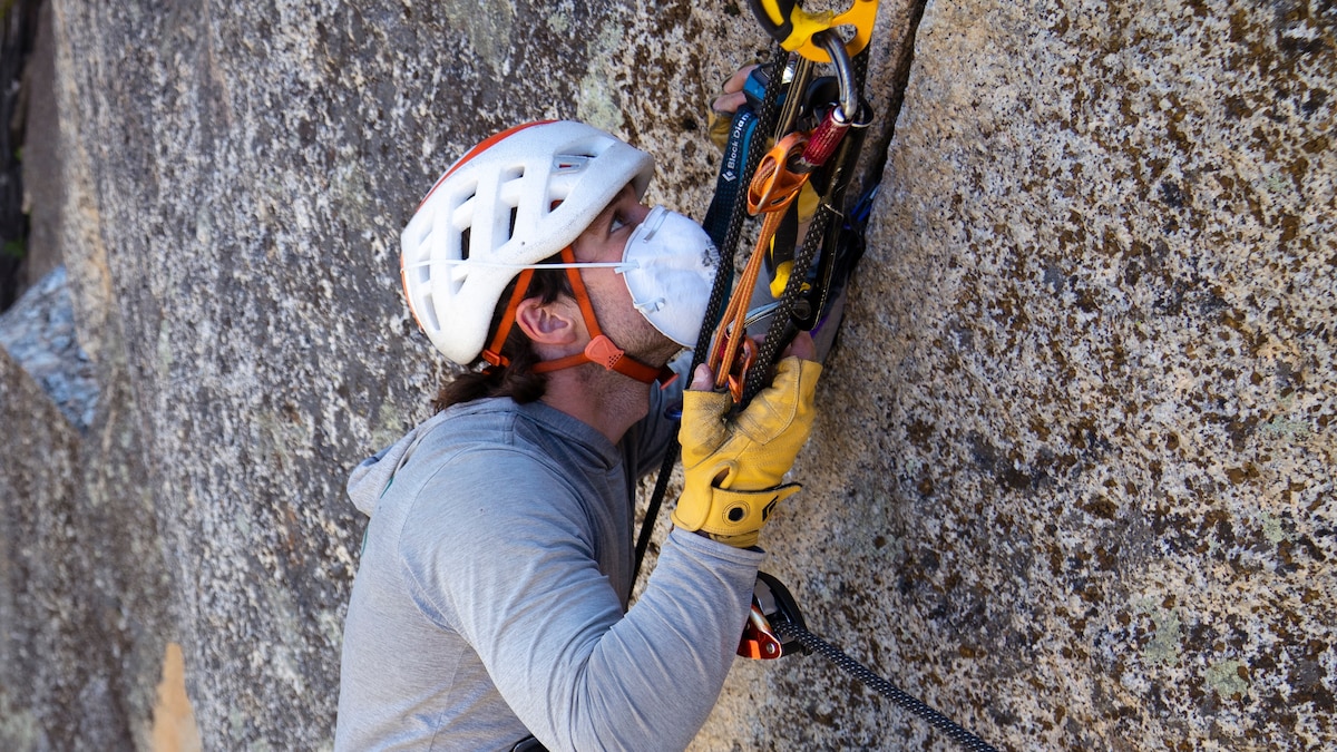 To save Yosemite’s bats, scientists need help finding them | National ...