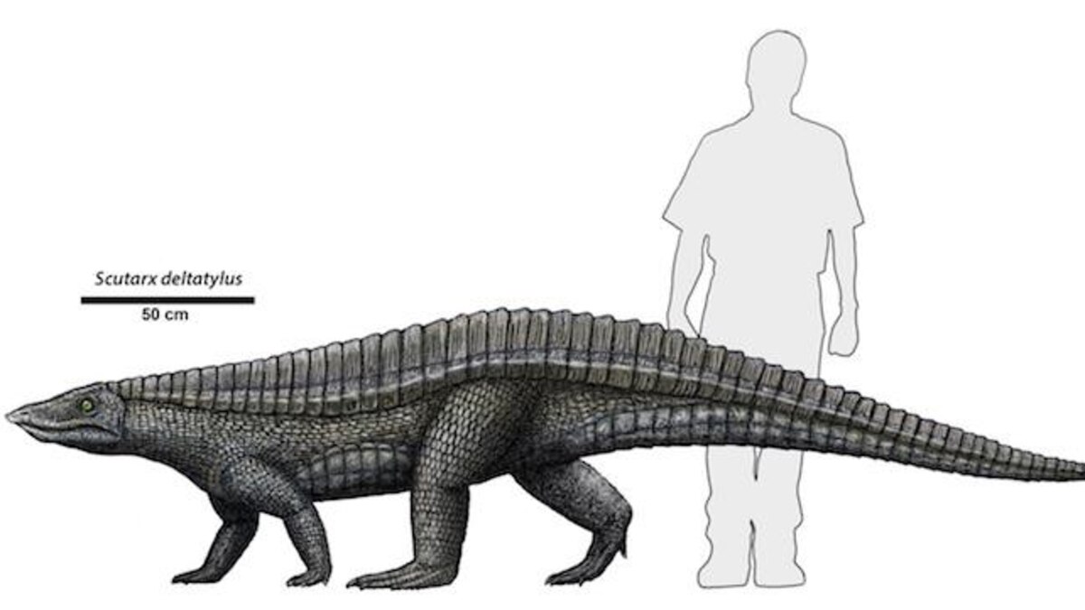 Paleo Profile: The Shield Fortress | National Geographic