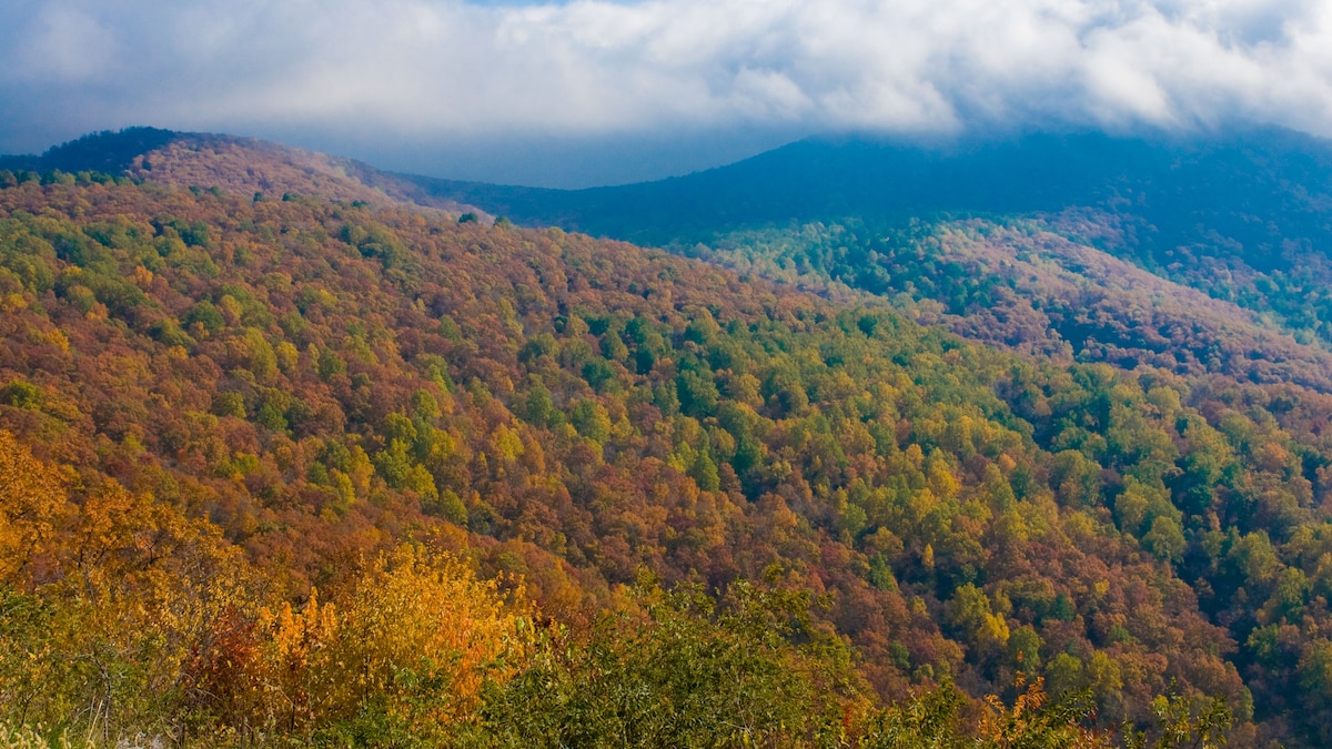 Virginia Travel Guide | National Geographic