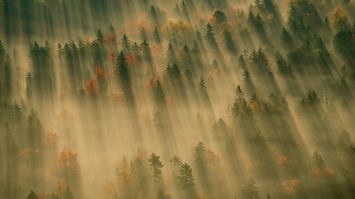 31 pictures from the Nat Geo archives that capture the beauty of our ...