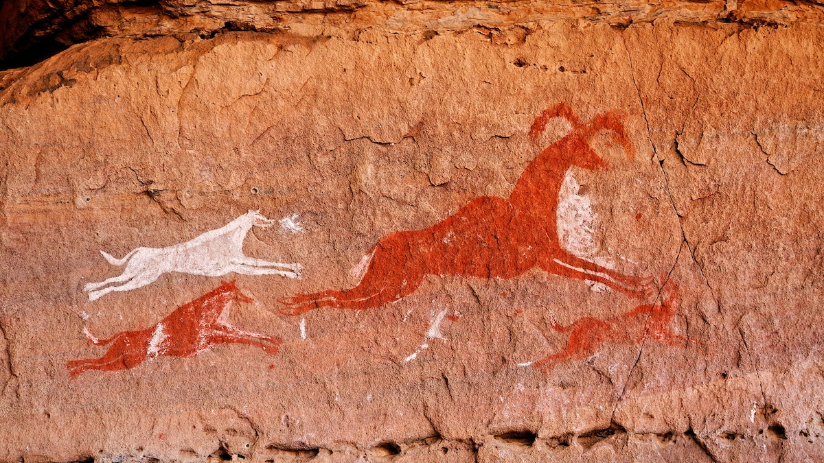 See how dogs were celebrated in the ancient world | National Geographic