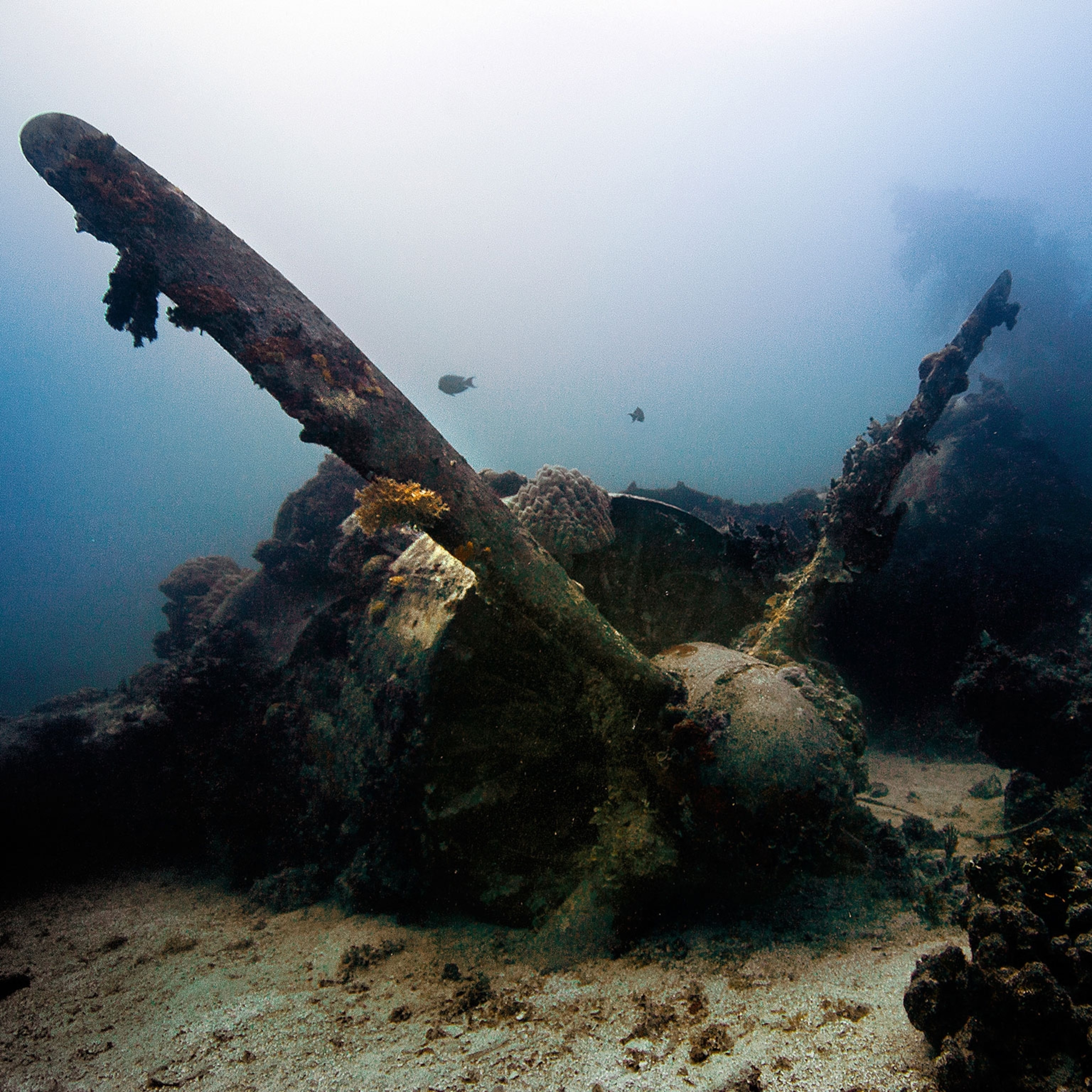Wreck Diving Inside