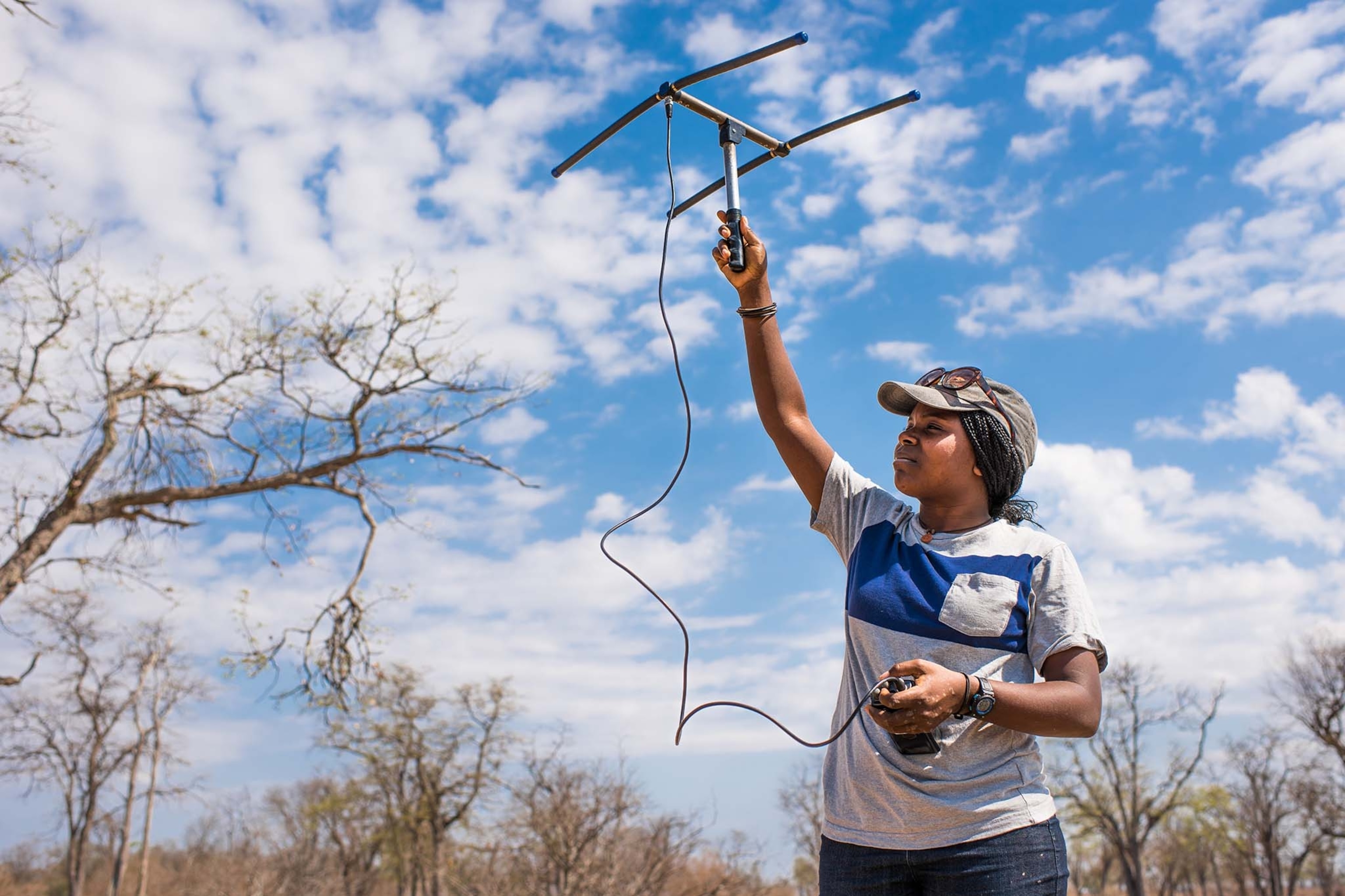 How 9 National Geographic Explorers Got Their Start