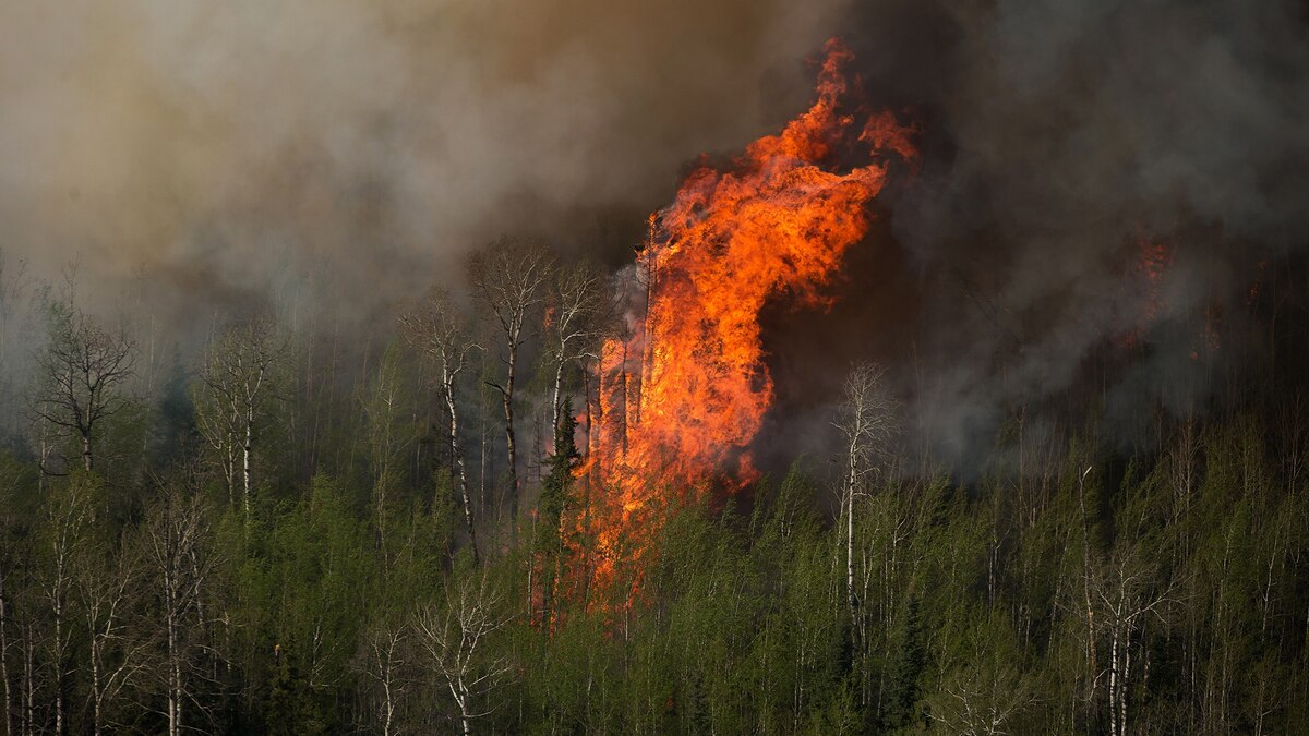 Canadian Wildfire Threatens Key U.S. Oil Artery | National Geographic