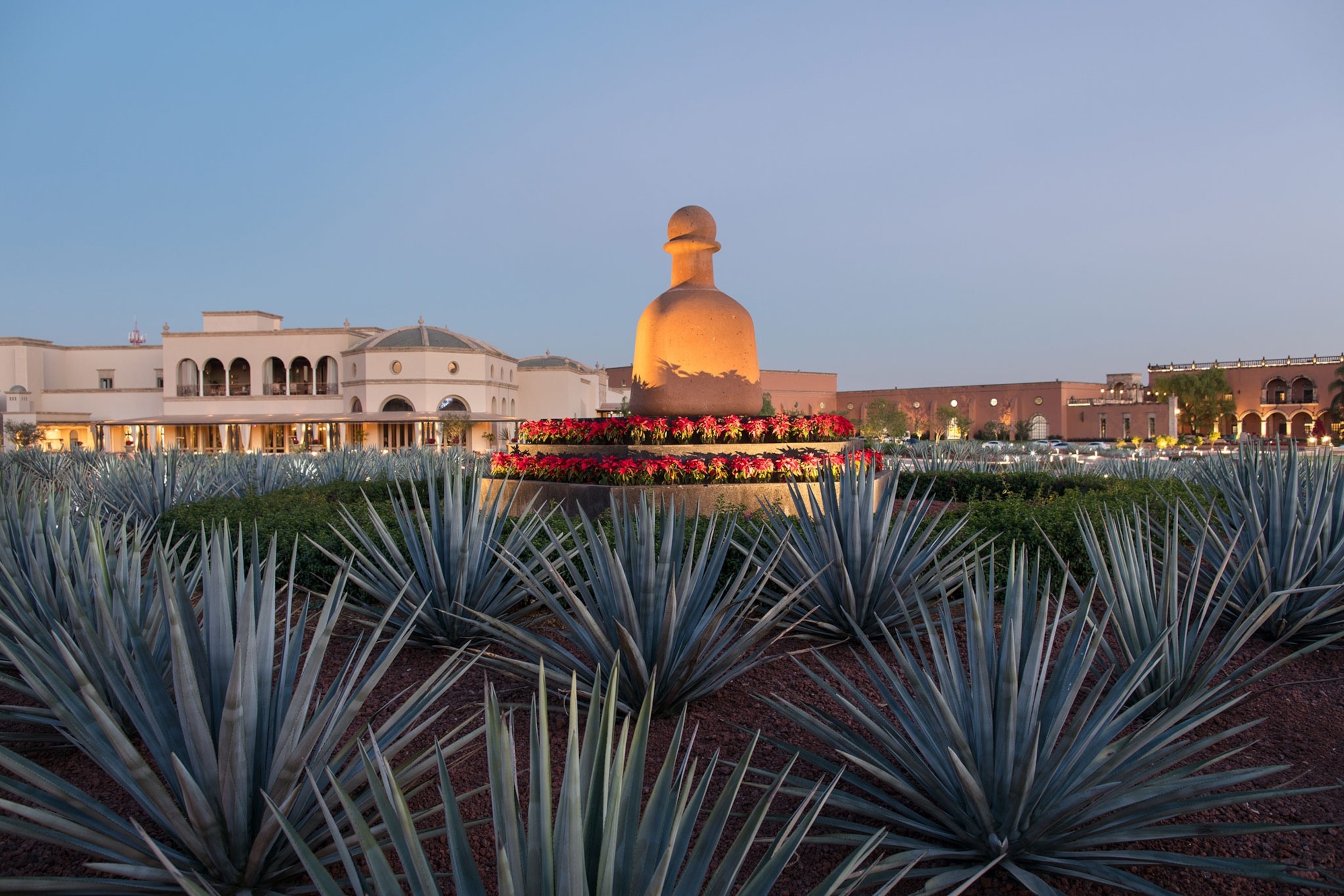 The Wild, Vibrant History of Mexican Tequila