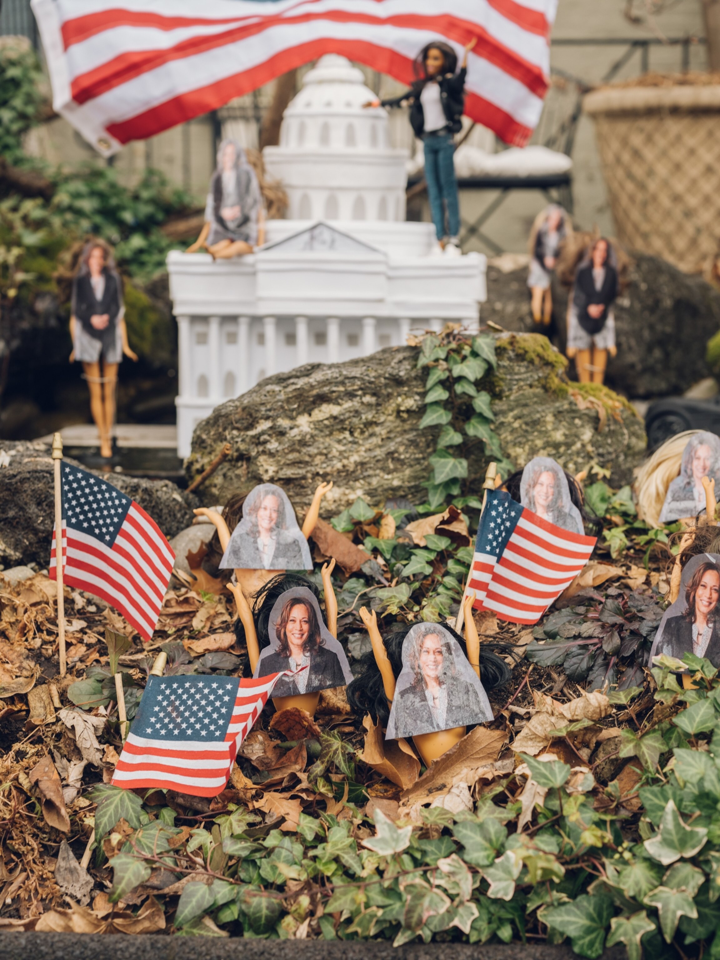 As inauguration looms, Washington D.C. goes still