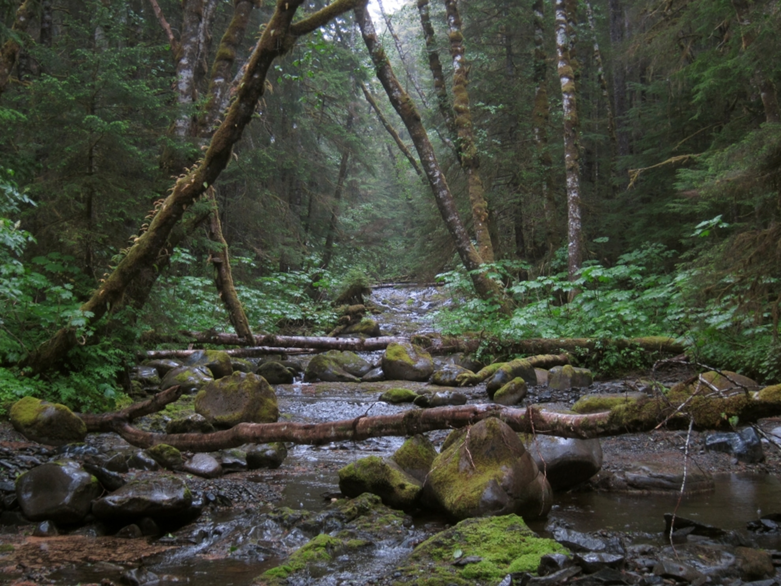 Andrew Skurka's Alaska-Yukon Expedition - Photo Gallery -- National ...