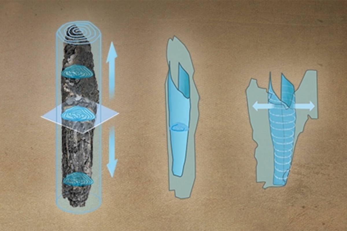 How modern technology is bringing ancient scripture to light | National ...