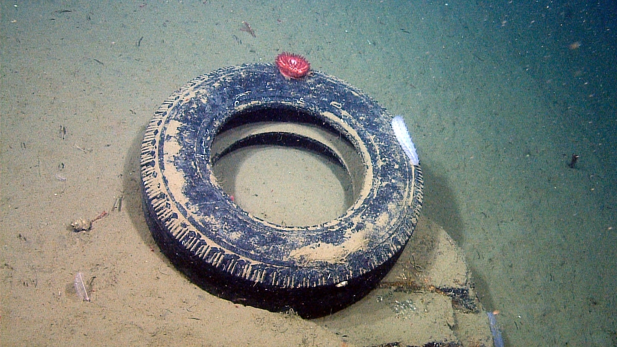 Pictures: Deep Sea Trash | National Geographic