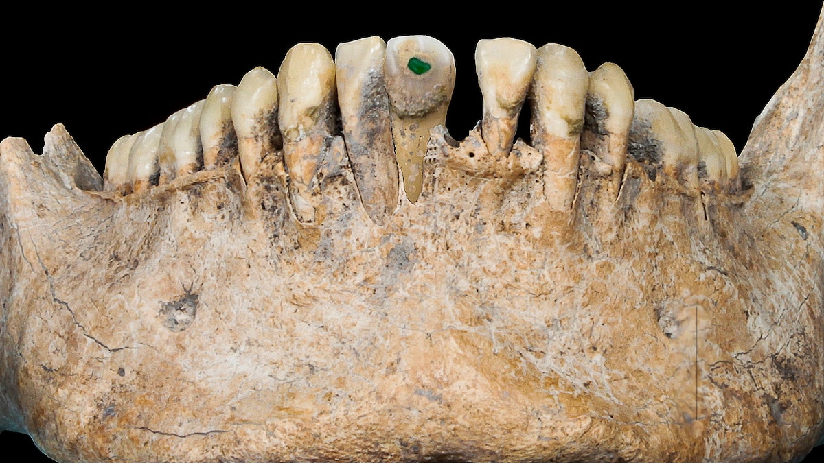 Beheaded Maya Massacre Victims Found | National Geographic