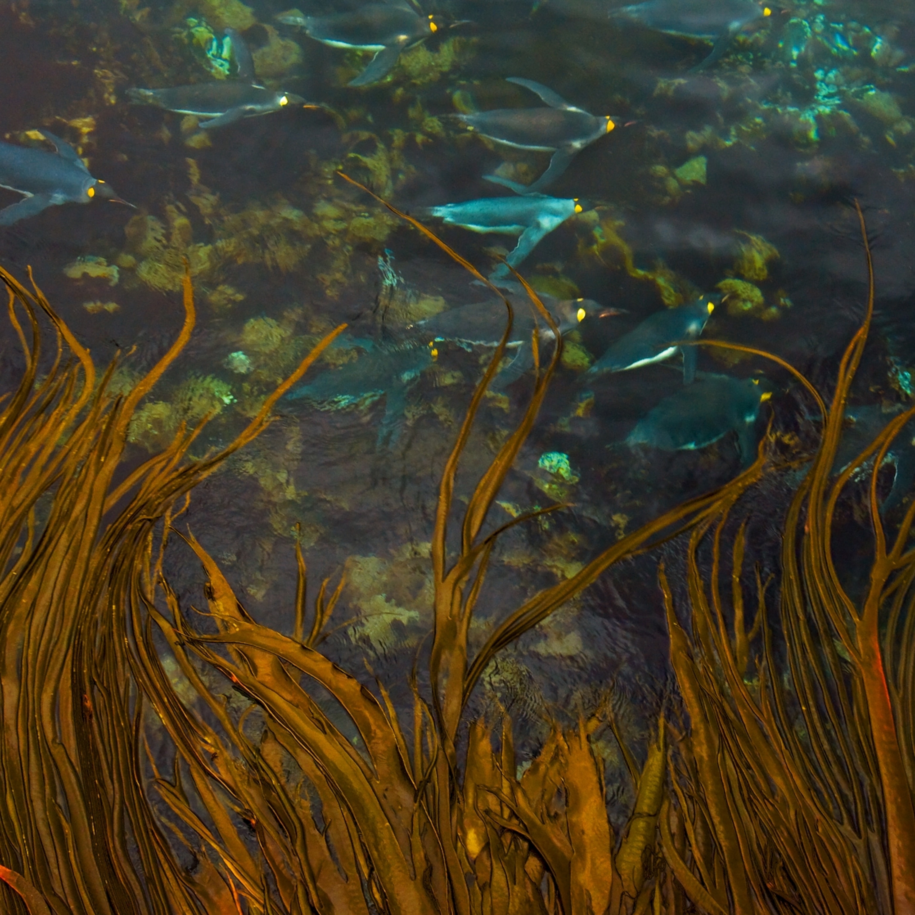 Neogene Period The Neogene Period ScienceDirect