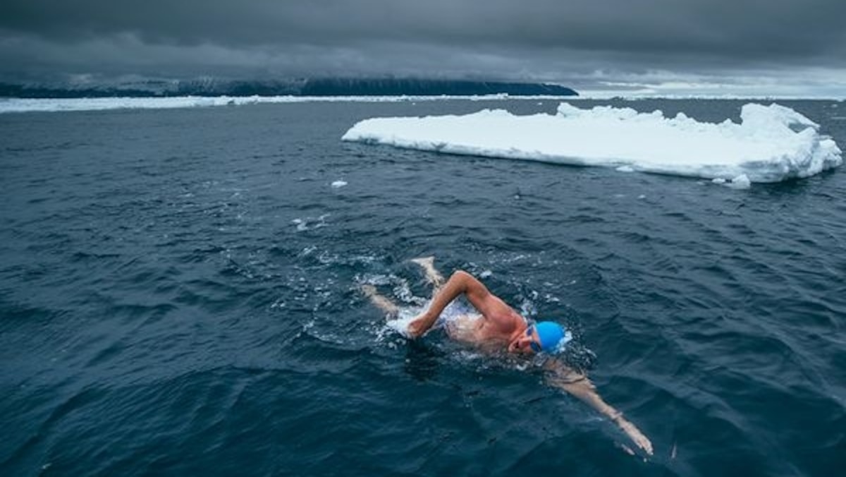 Adventurer to Attempt Extreme Swims to Protect Antarctic Seas—in Just a ...