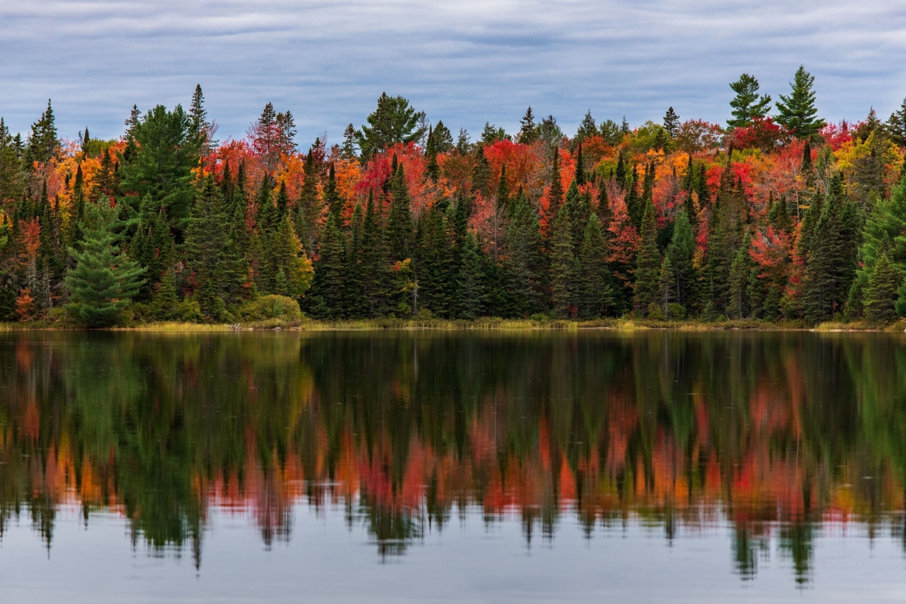Canada’s Best Road Trips: Chasing Fall Colors in Ontario and Quebec