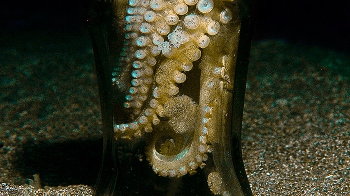 Pictures We Love: Best of September | National Geographic