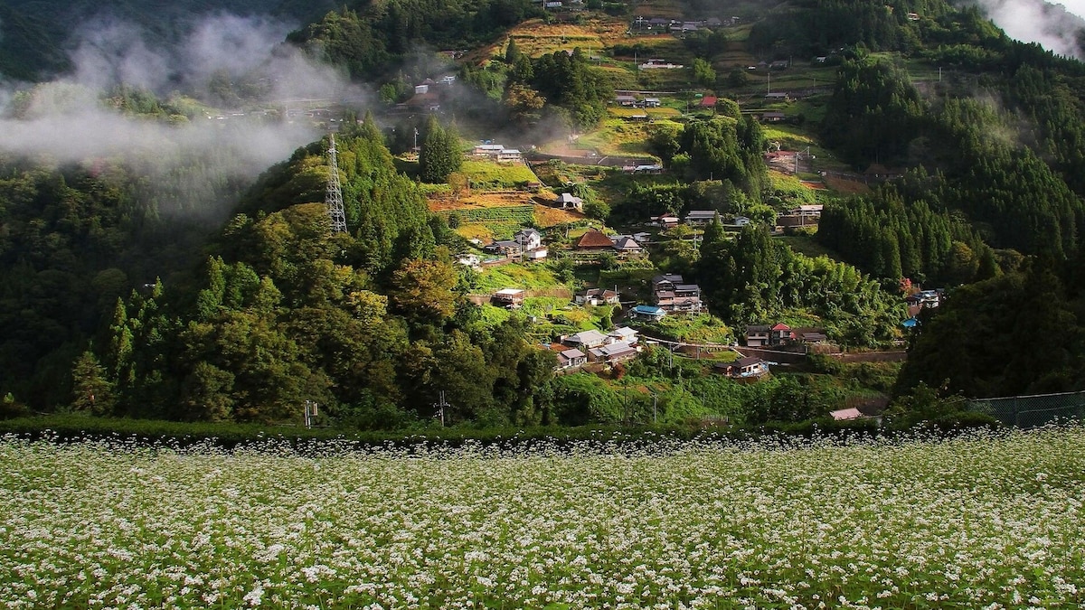 Why the spiritual and secluded Iya Valley should be your next Japanese ...