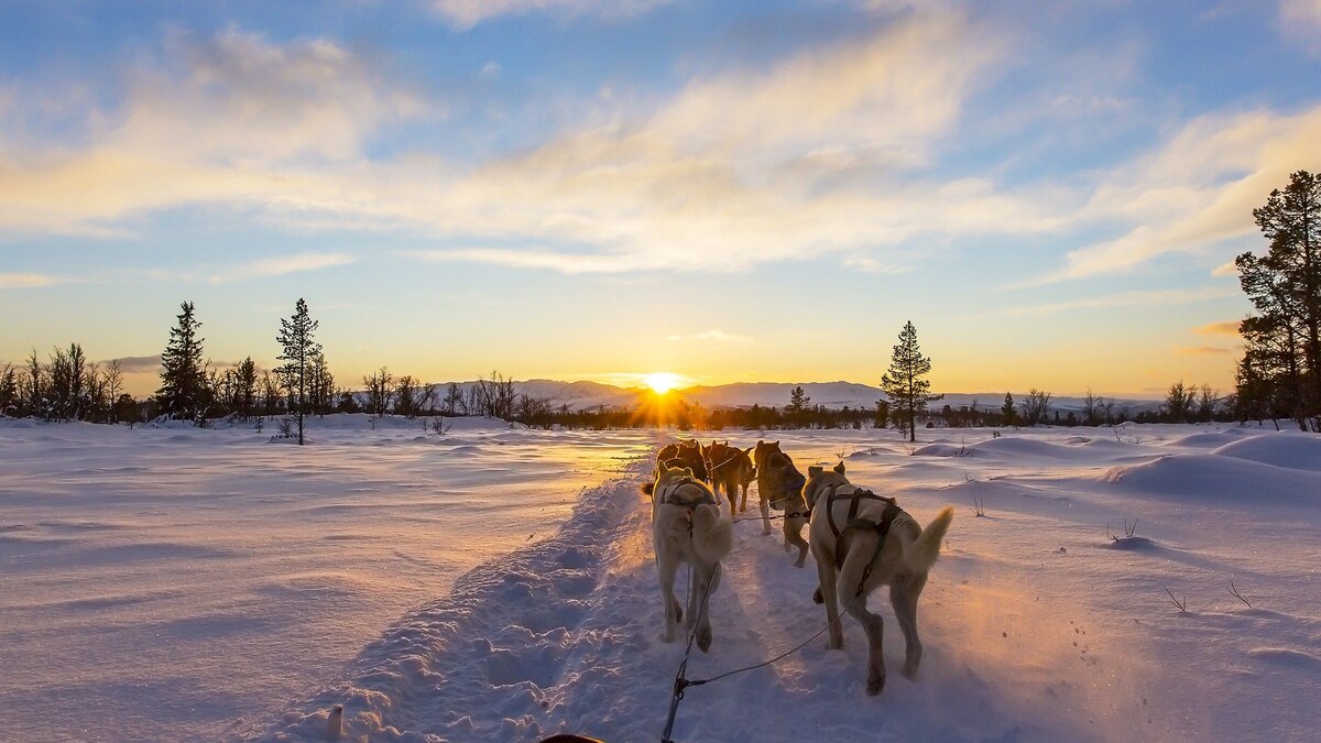 Seven of the best Arctic destinations to explore this winter | National ...