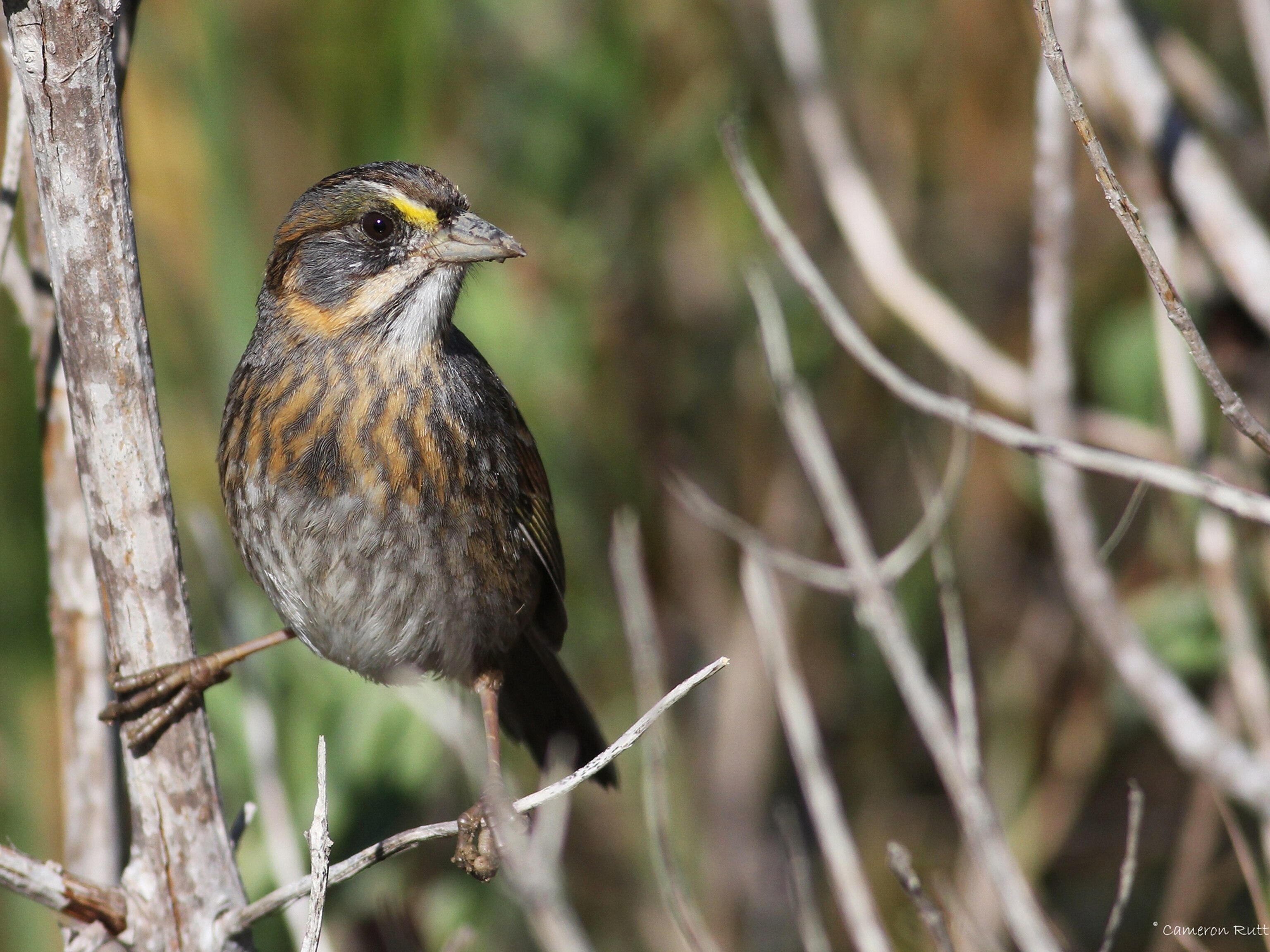 Is Gulf Oil Spill's Damage Over or Still Unfolding?