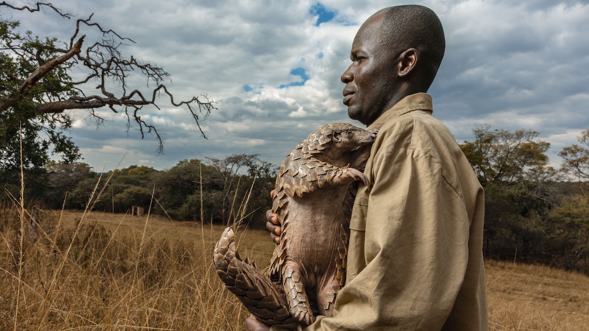 These are our best animal photos of 2019 | National Geographic