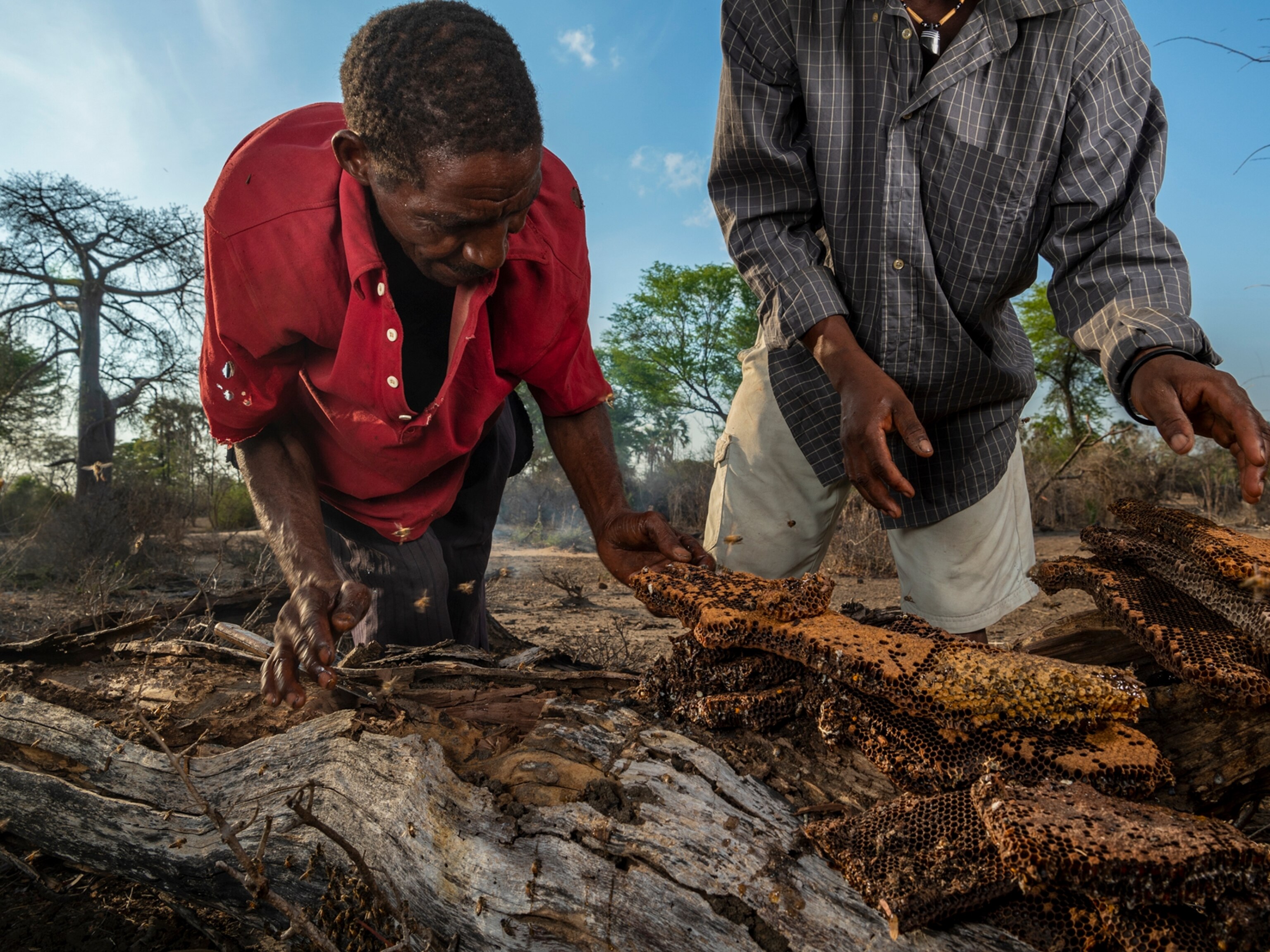 Niassa Special Reserve is thriving—because locals have a stake in its ...