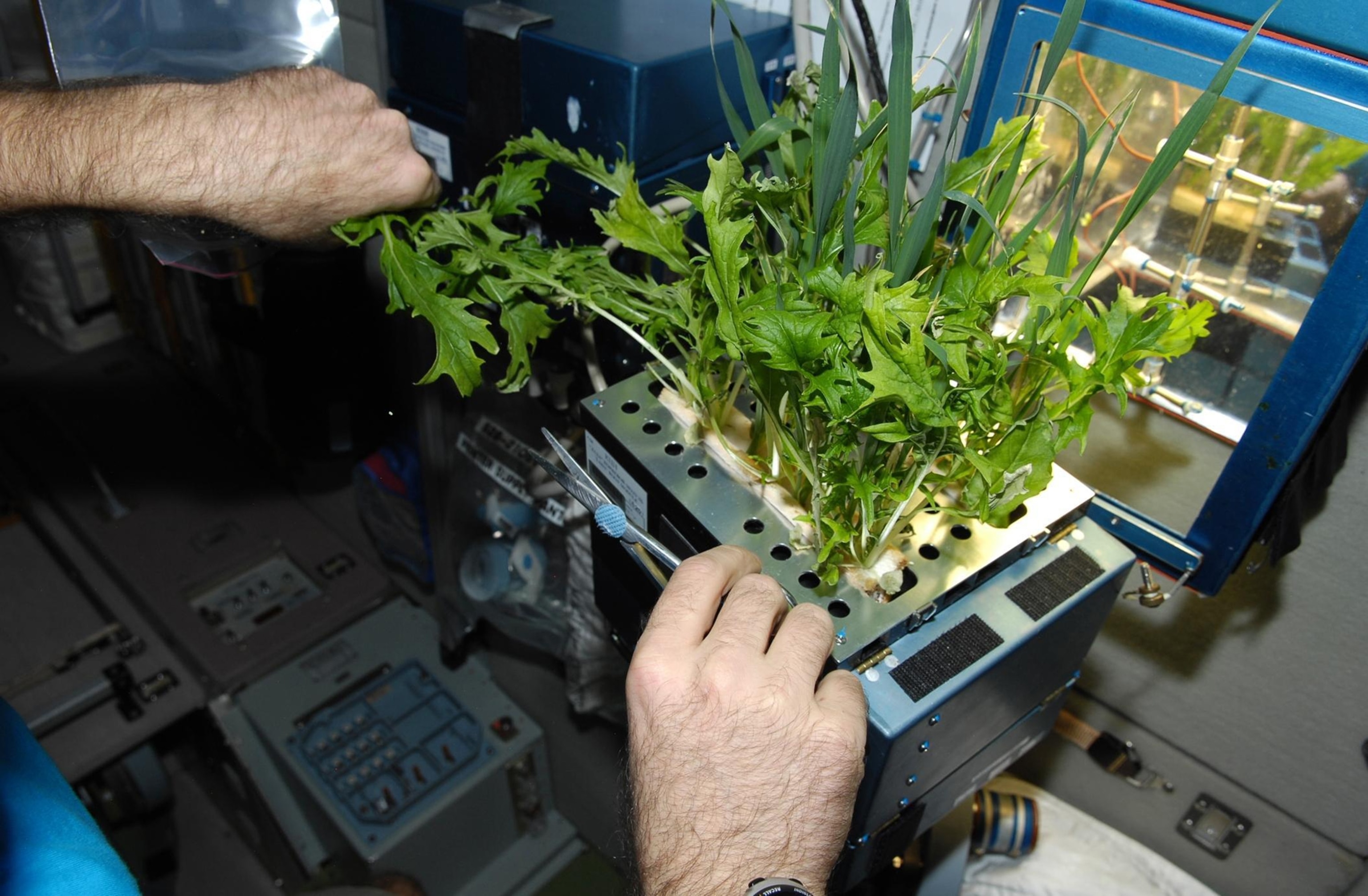 Up on the Farm? Five Reasons NASA Needs Space Greenhouses | National ...