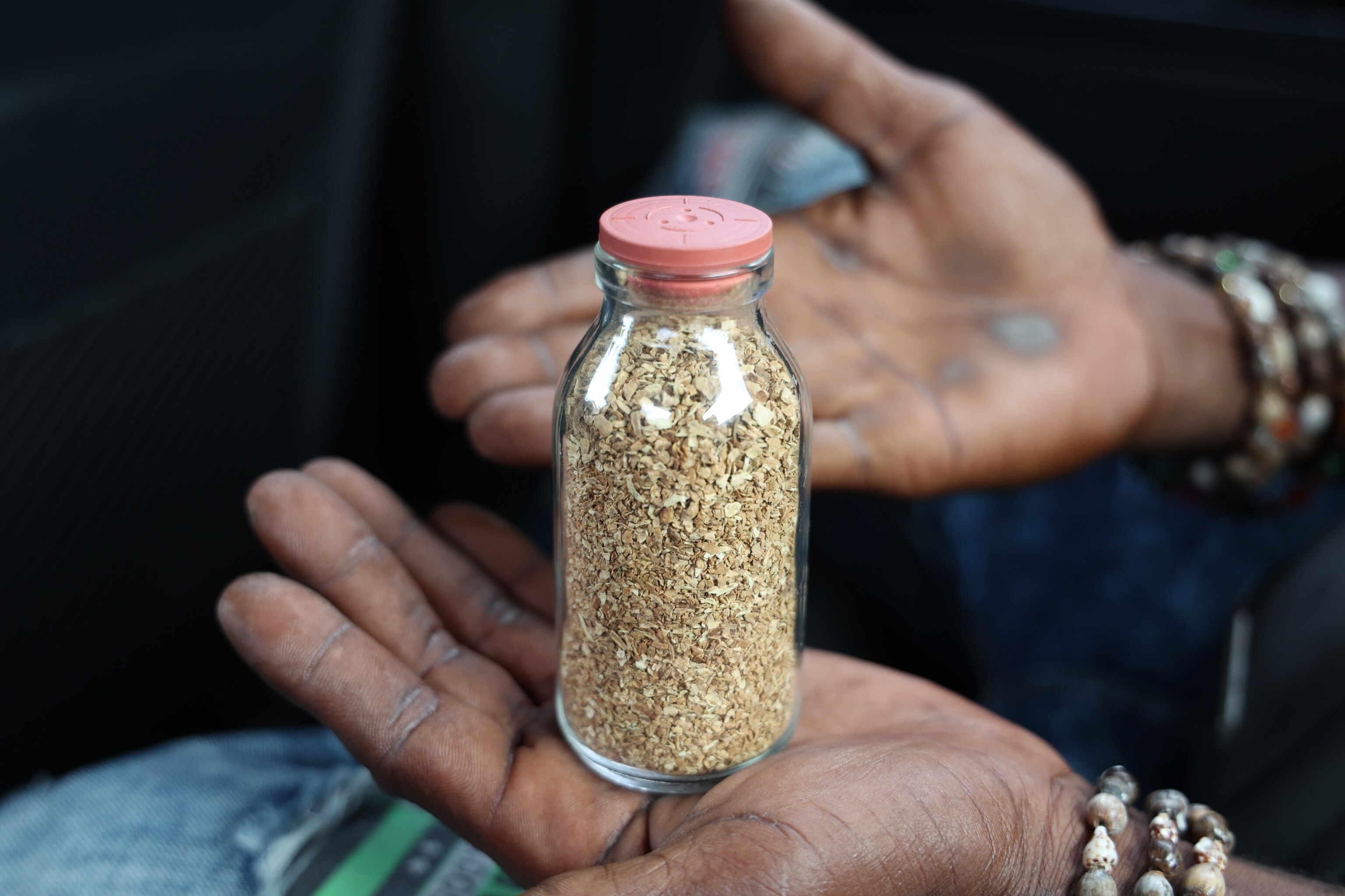 The psychoactive drug ibogaine could save lives—and everyone wants to ...