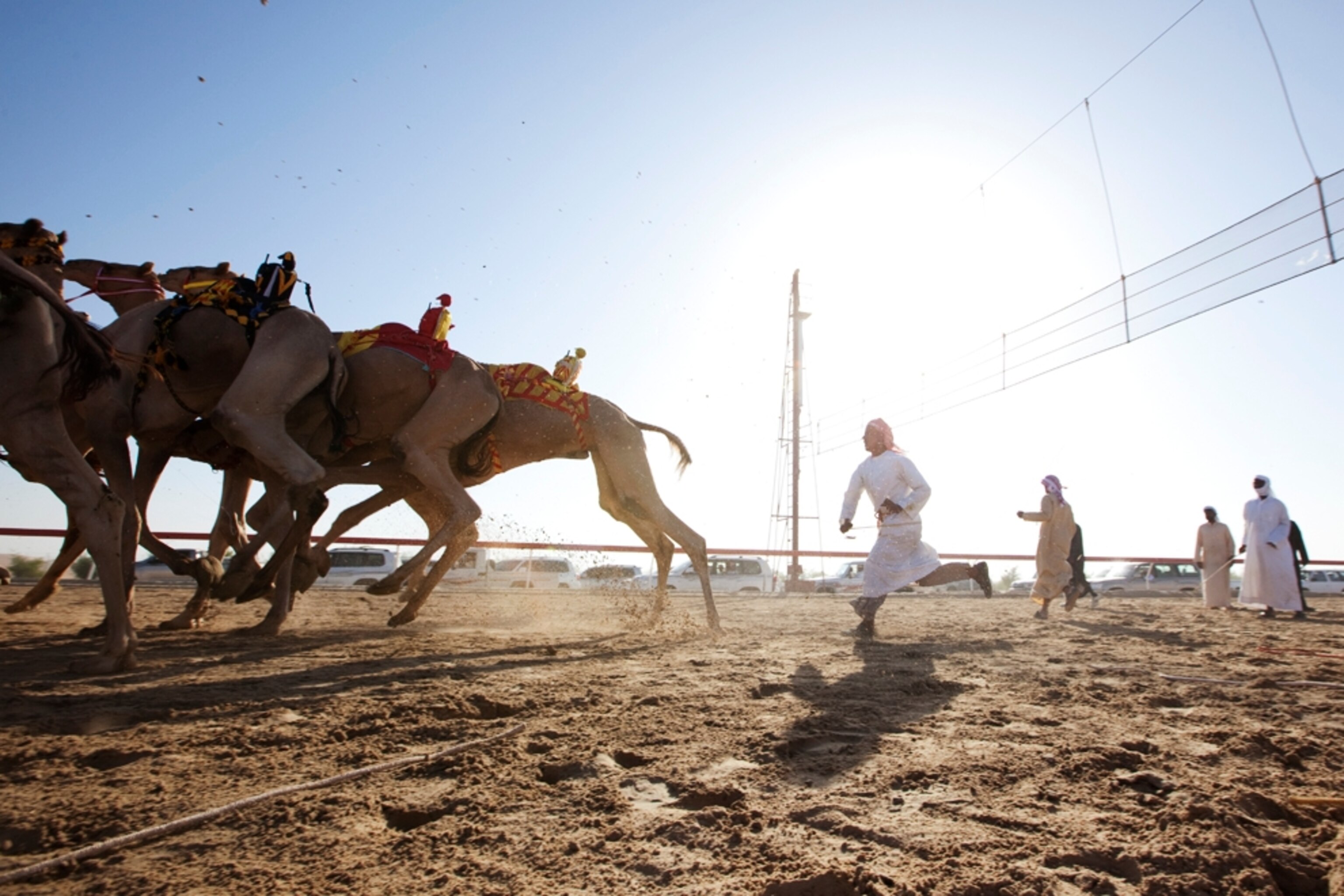 Camel Racing in Abu Dhabi Photos -- National Geographic