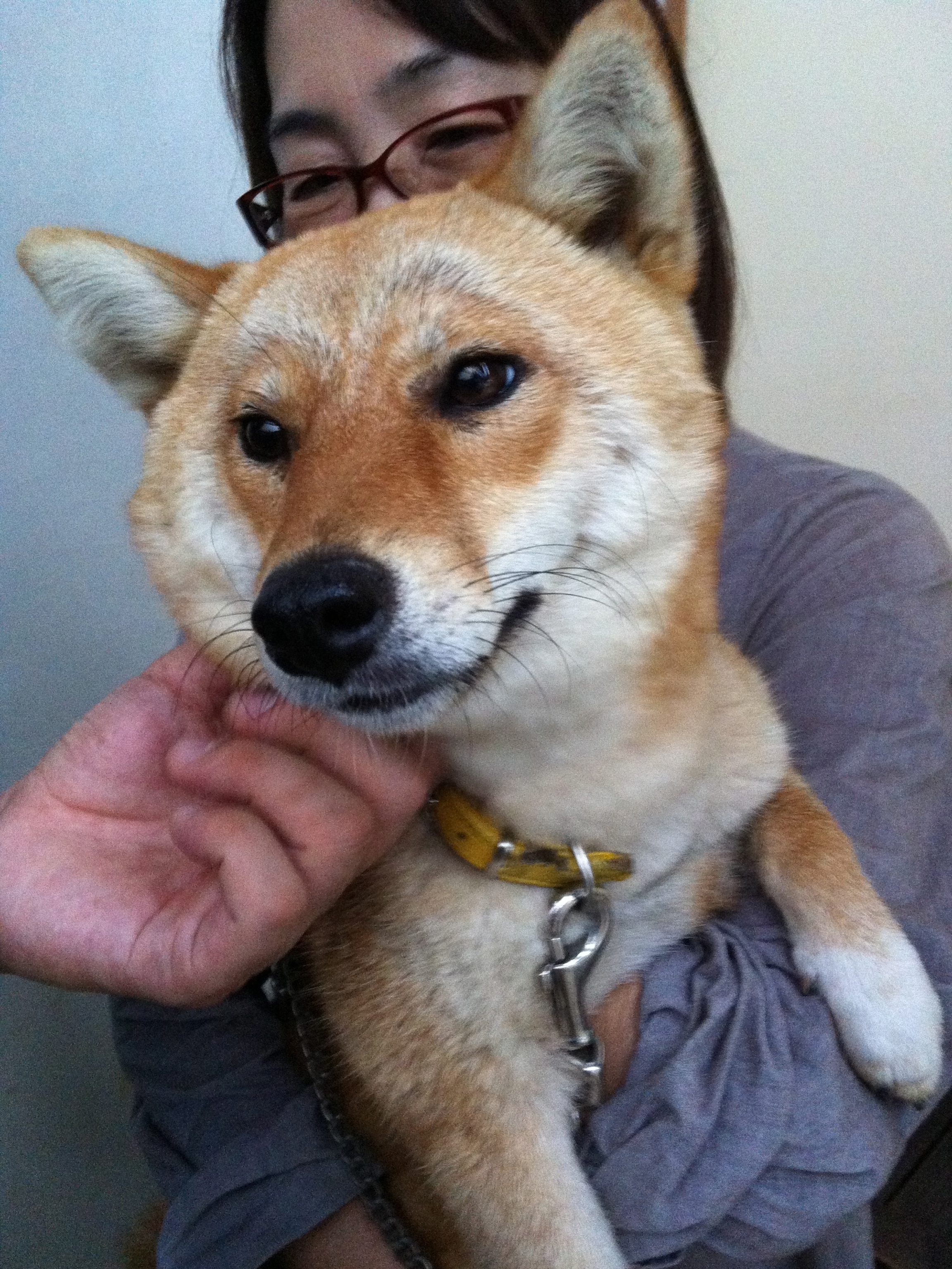 101 Things I Love About Japan