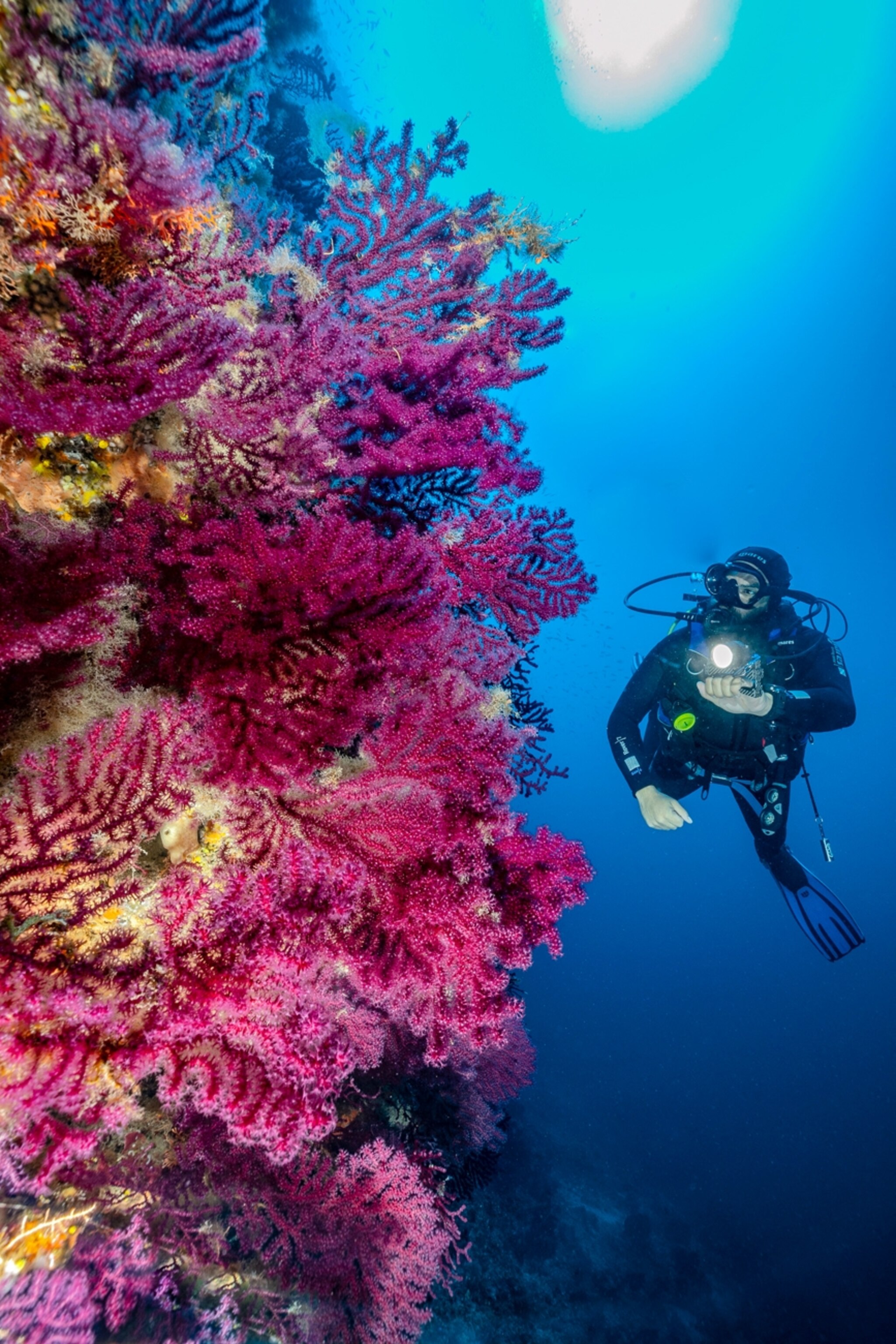 What to know about Peristera shipwreck, Greece’s first underwater museum