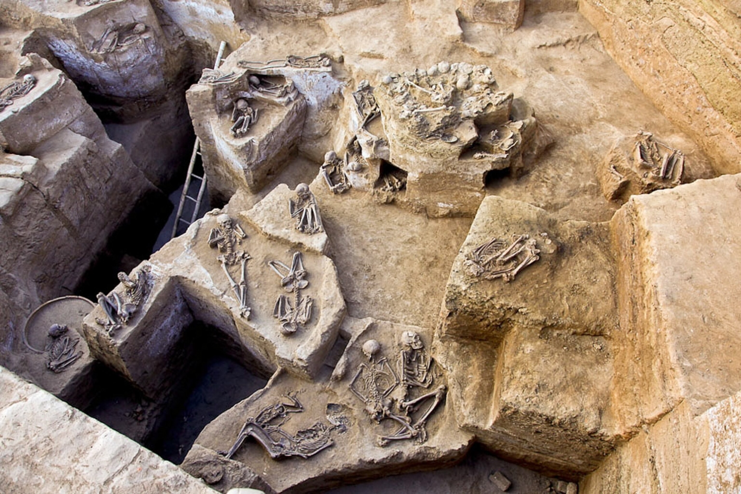 Mysterious Mass Sacrifice Found Near Ancient Peru Pyramid