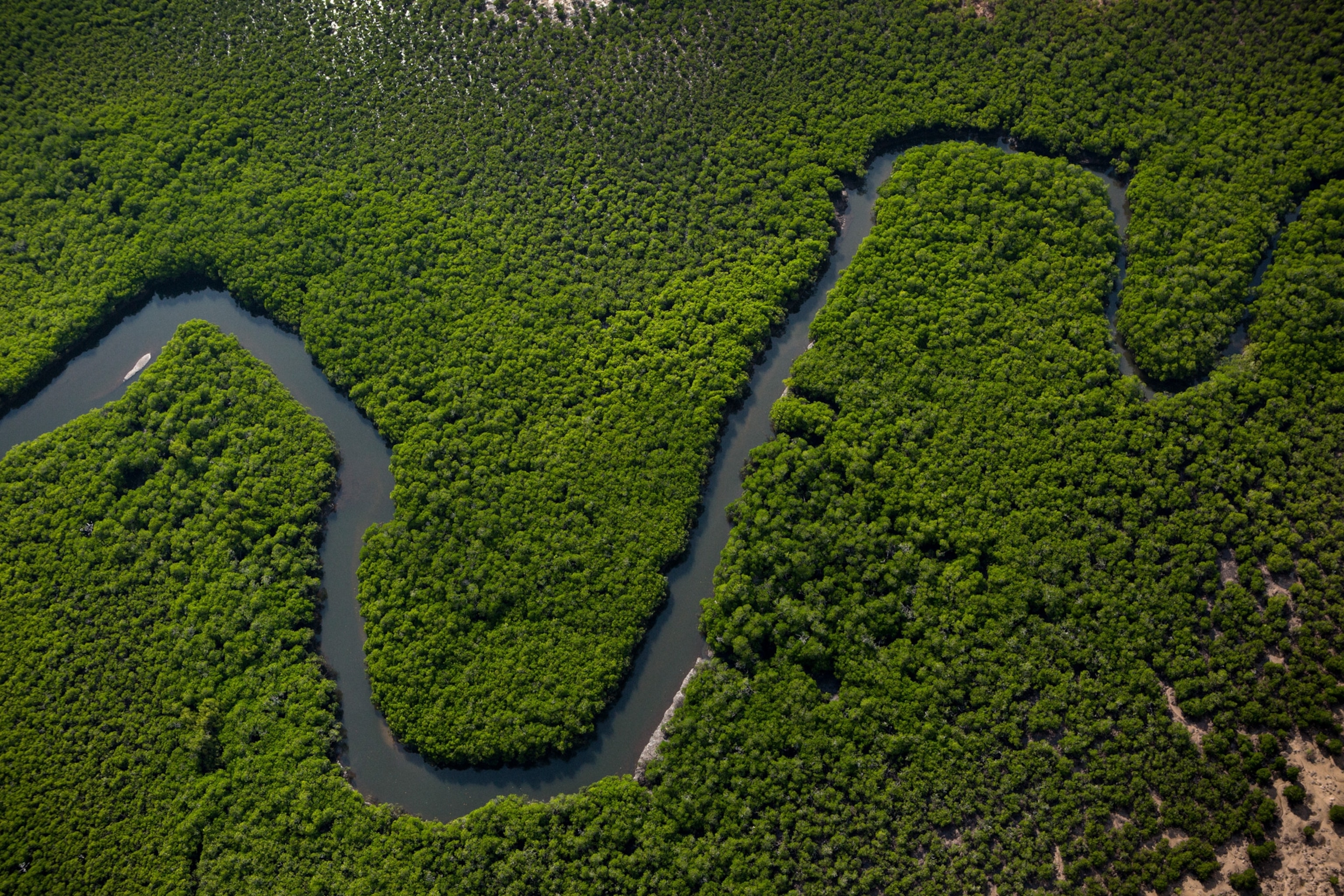 Beautiful Pictures of the Tiwi Islands in Northern Territory, Australia