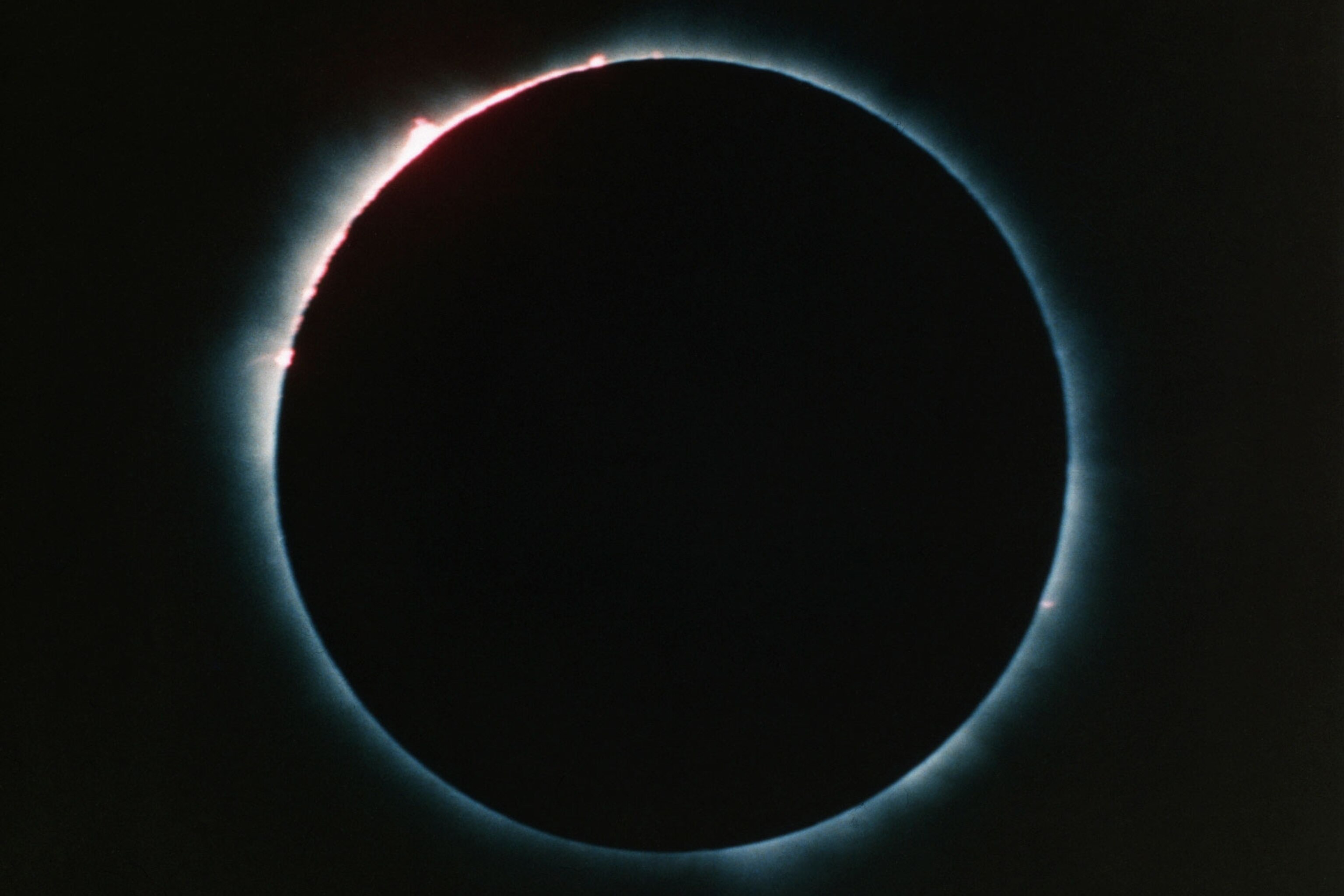 How Will My Dog React To The Eclipse