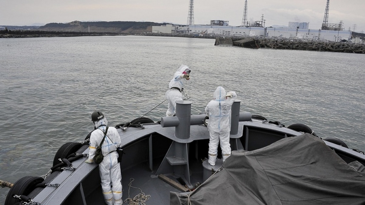 Radiation in Japan Seas: Risk of Animal Death, Mutation? | National ...