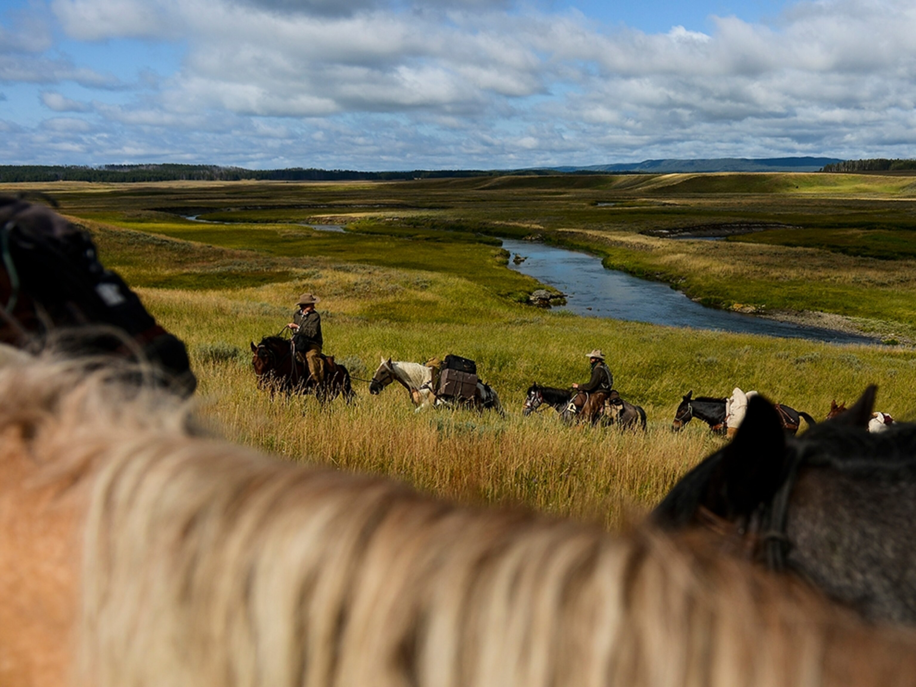 Yellowstone: A Backcountry Recovery - National Geographic