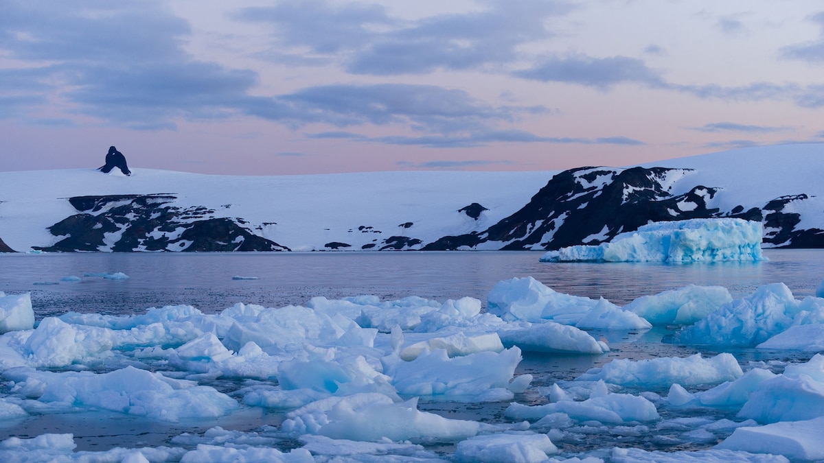 The Antarctic Peninsula’s new heat record could soon be broken ...