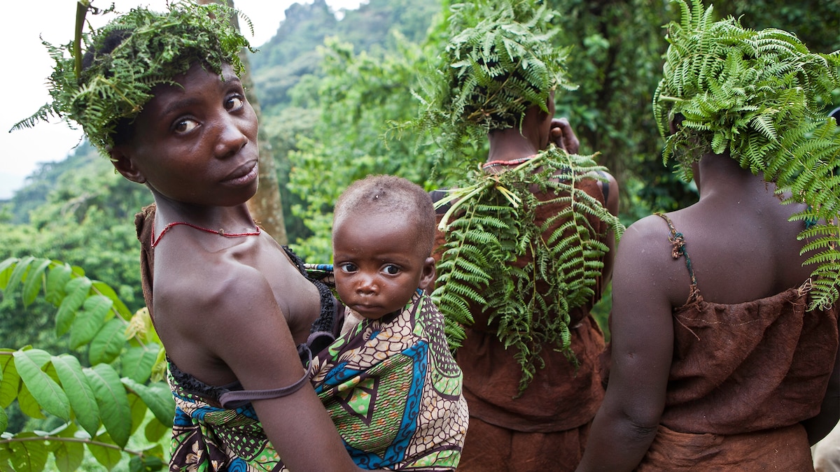 Strongest Evidence Yet That Pygmies' Short Stature Is Genetic ...