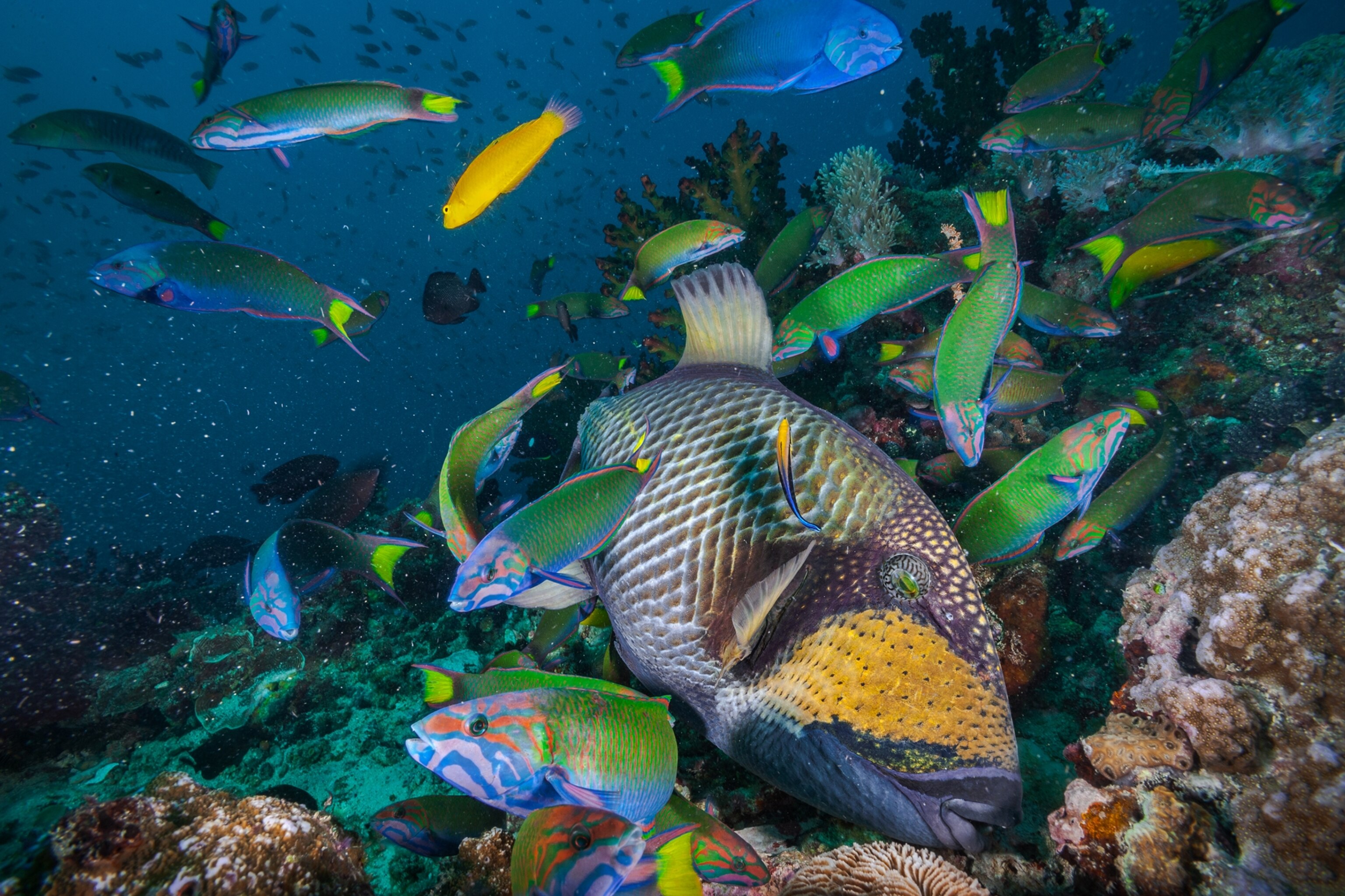 See our best wildlife photos from 2022