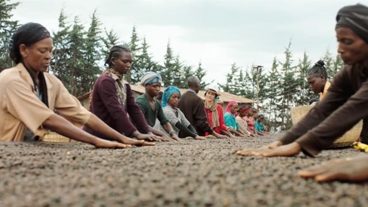 Savor the flavors of an ancient coffee | National Geographic