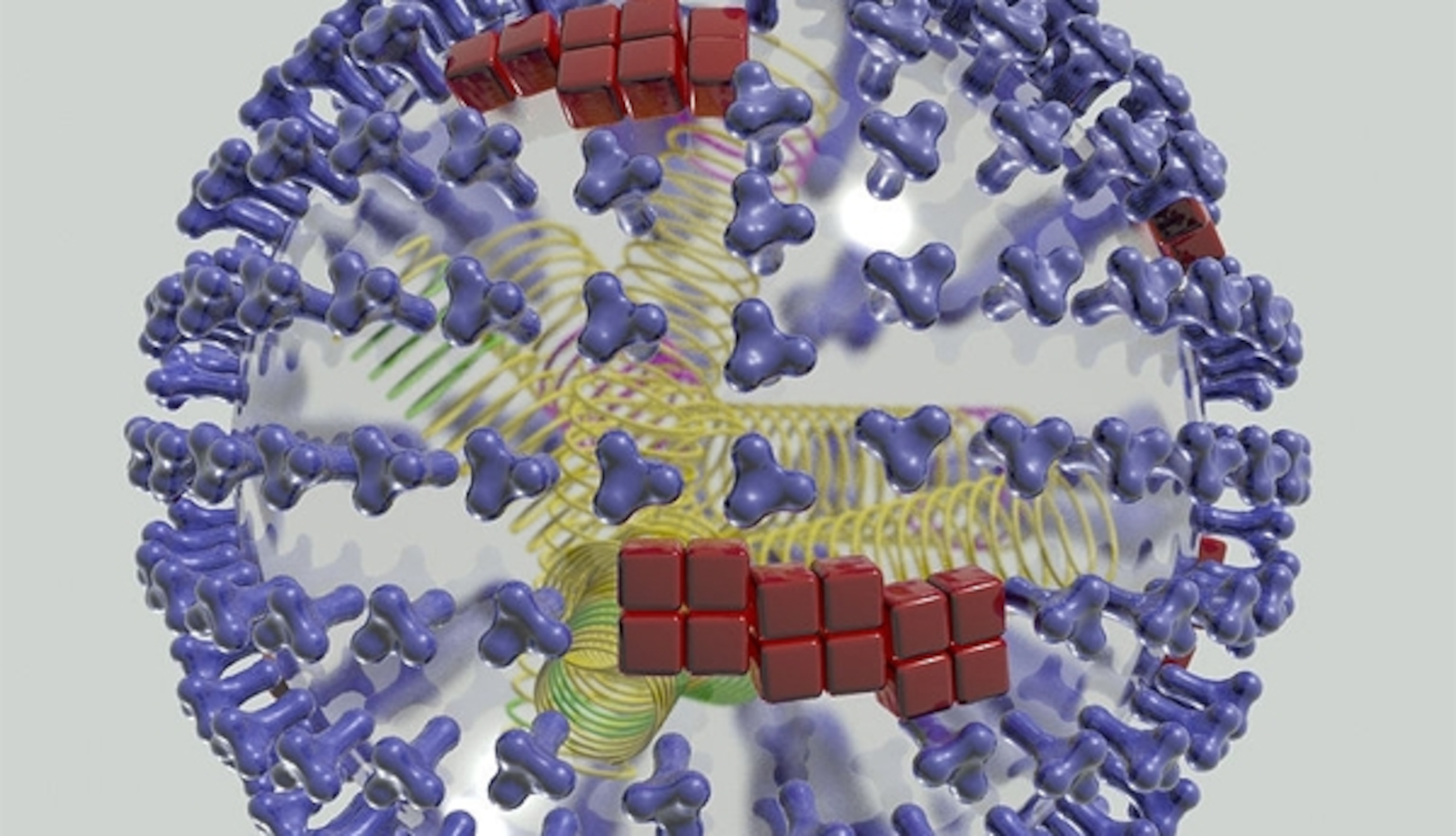 A crystal ball for predicting the future of flu | National Geographic