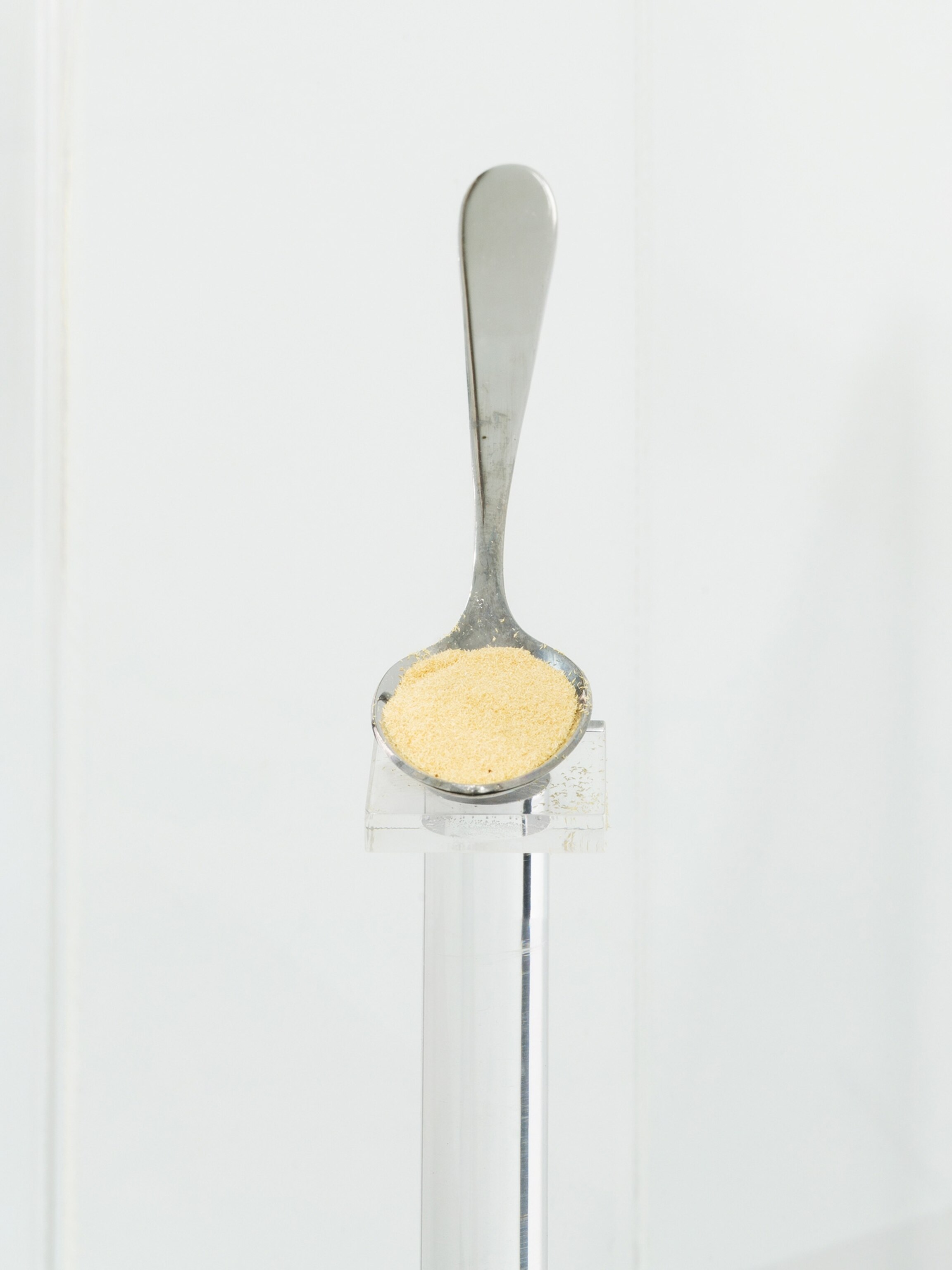 These pictures of seed bank samples turn biology into art