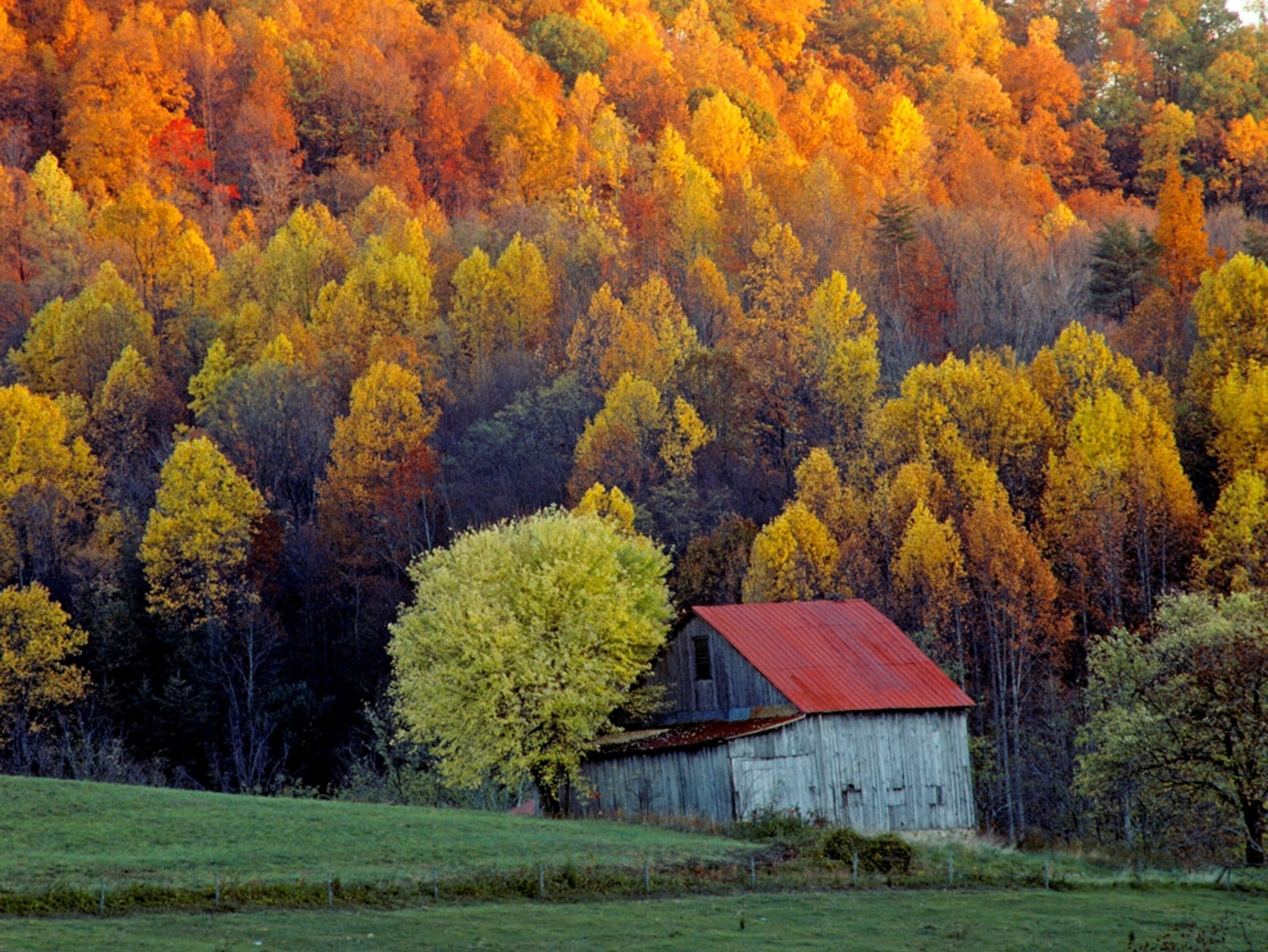Autumn in the United States Photos - National Geographic