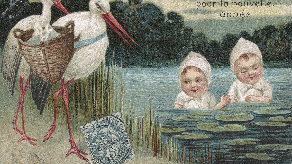 Weird Animal Question of the Week: Animal Myths From Around the World ...