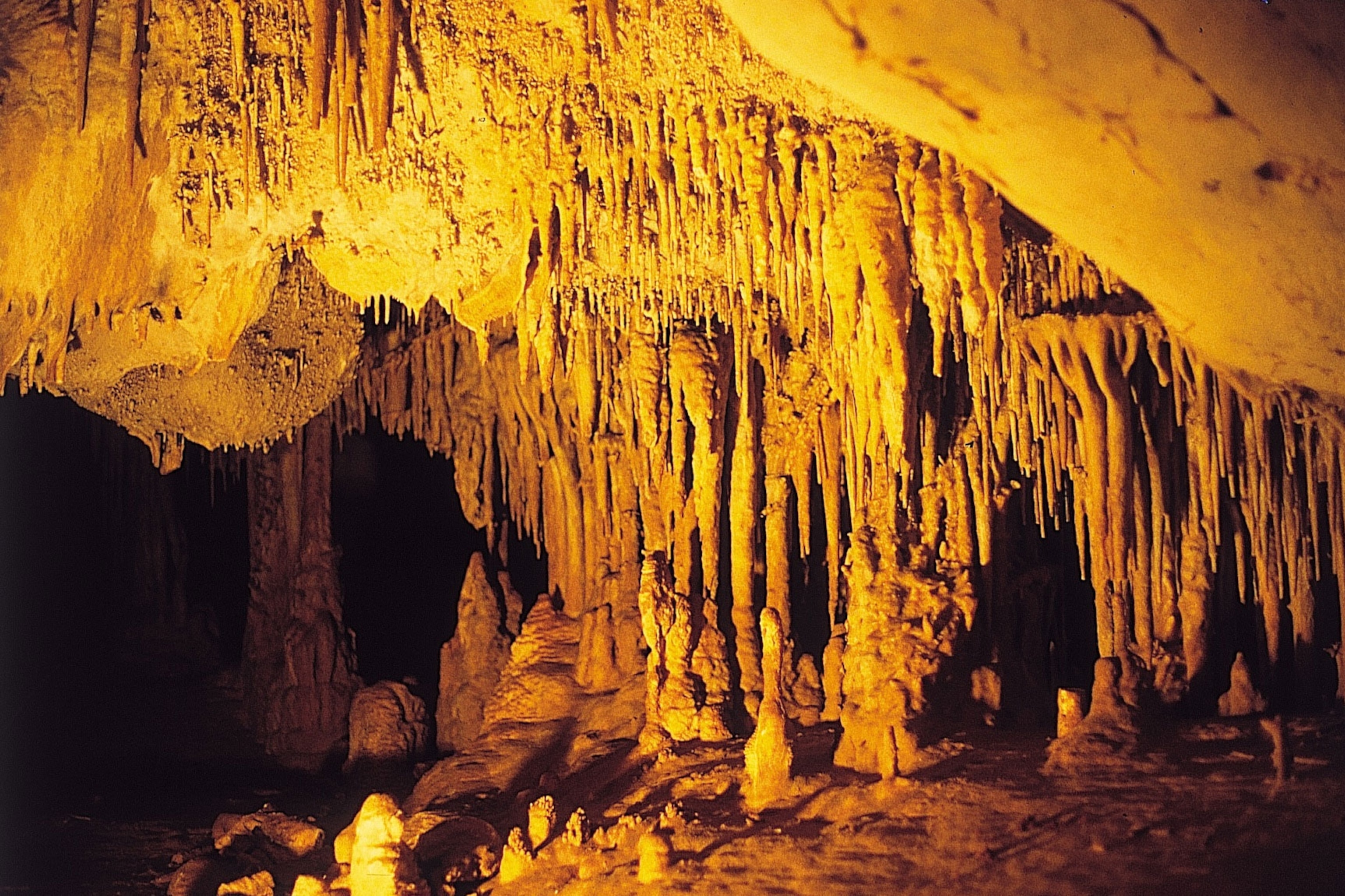 European ‘shamans’ took psychedelic drugs 3,000 years ago