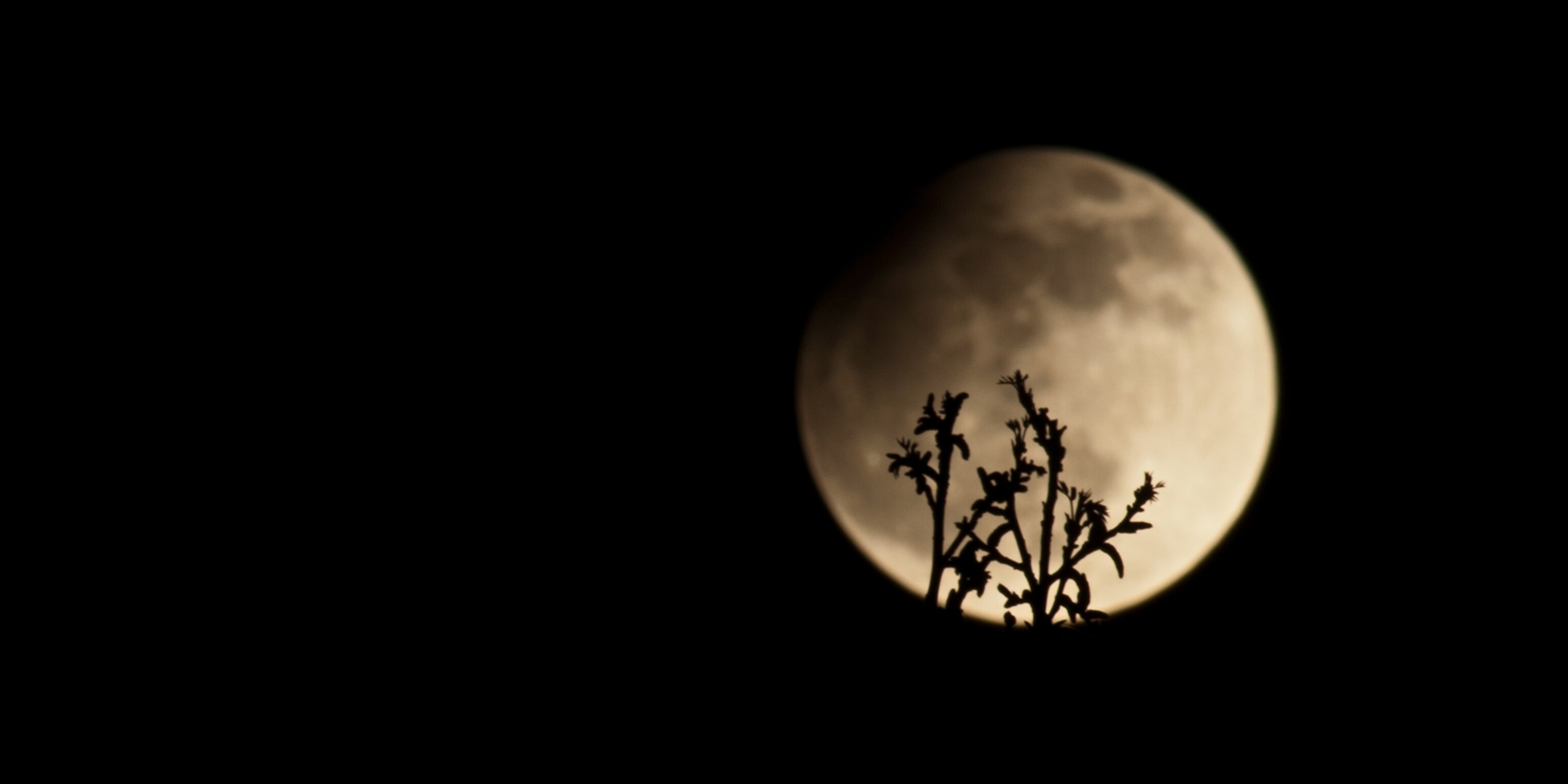 Lunar eclipses, facts and information