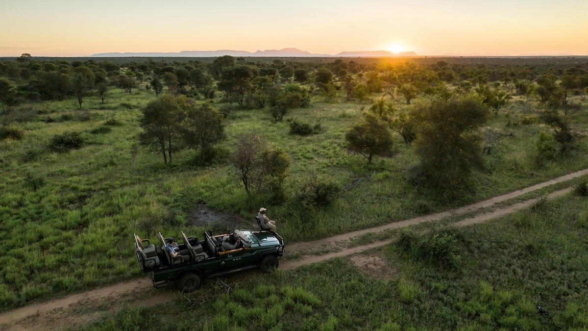 How the safari sector is bouncing back in South Africa's north east ...