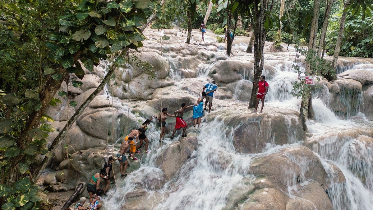 Meet the Caribbean entrepreneurs carving new paths in Jamaica ...