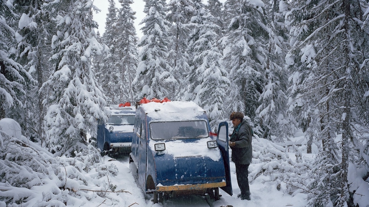 Canadian First Nations Seek to Protect Forest Homeland | National ...