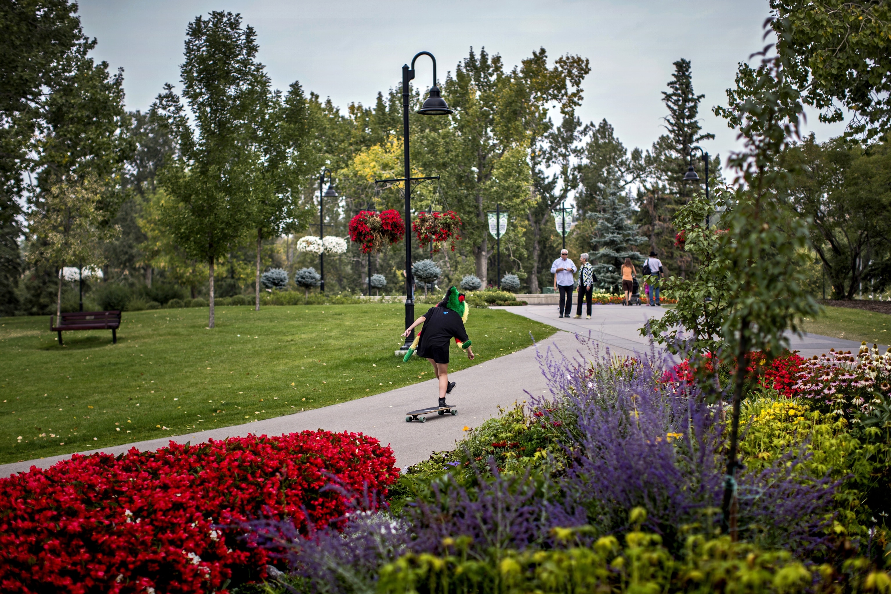The New Calgary in Canada